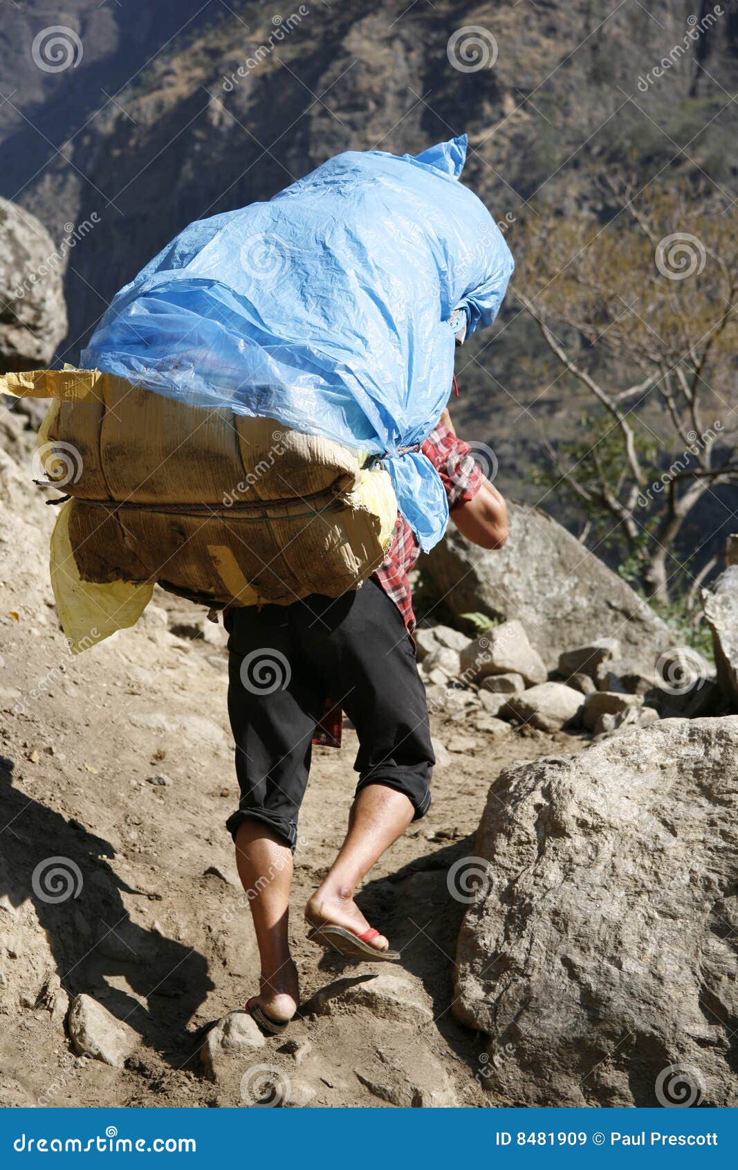 Porter in nepal stock image. Image of carry, asian, hard - 8481909