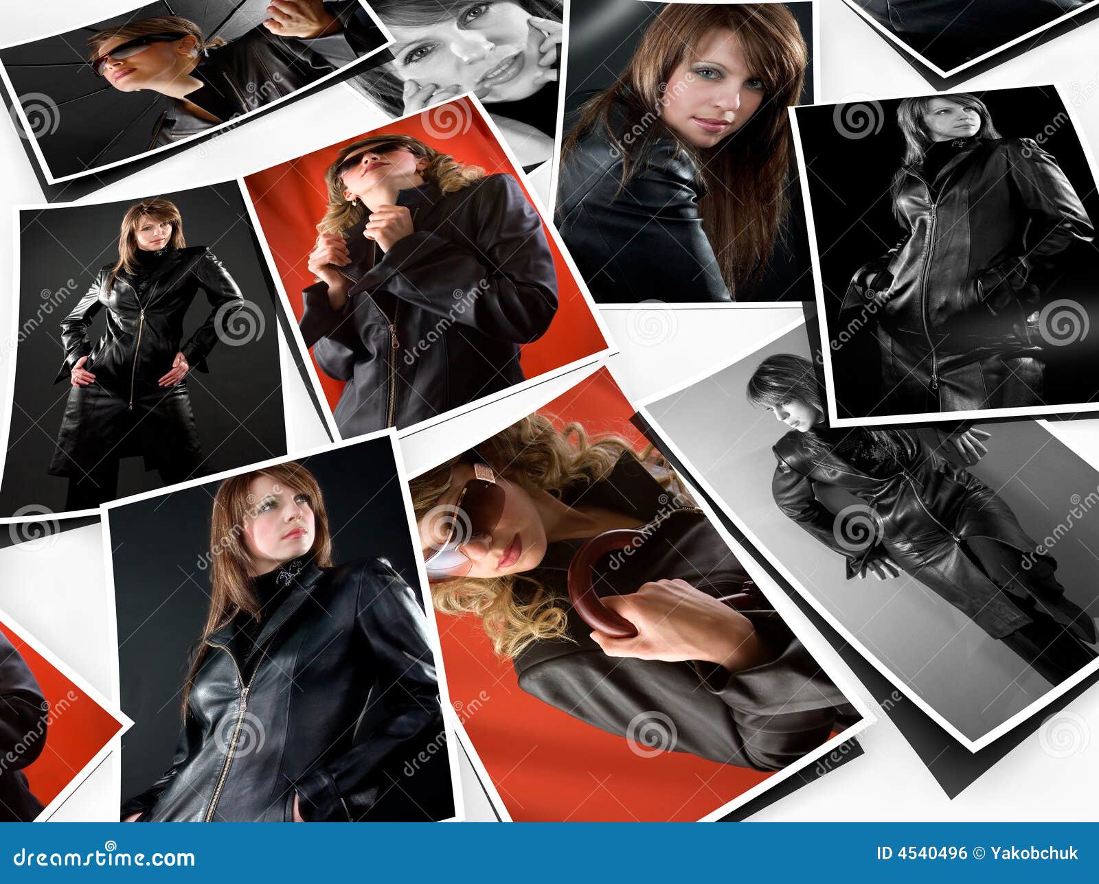 Portfolio stock photo. Image of collection, caucasian - 4540496