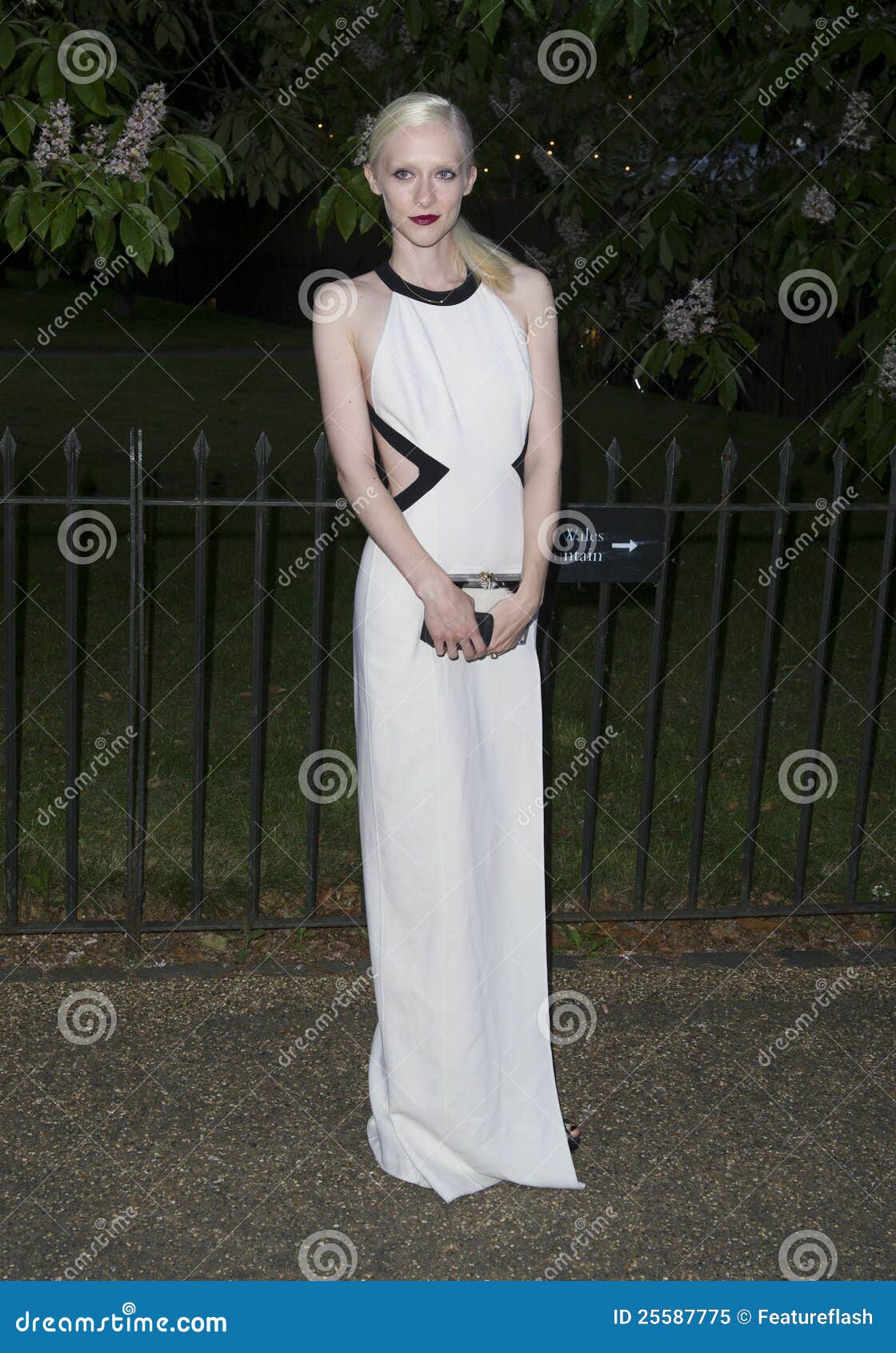 Portia Freeman editorial image. Image of serpentine, portia - 25587775