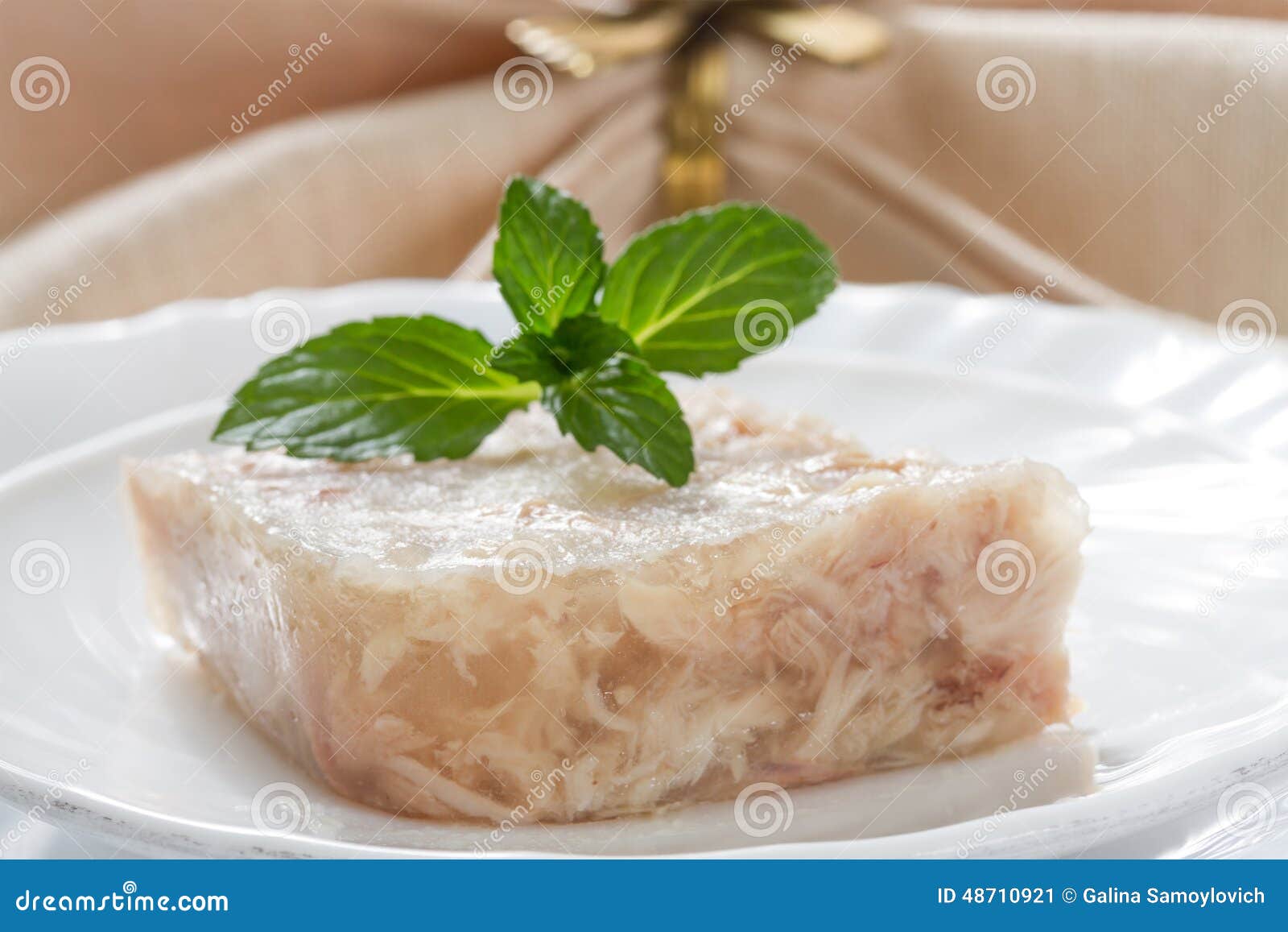 Portion aspic on a plate stock image. Image of fresh - 48710921