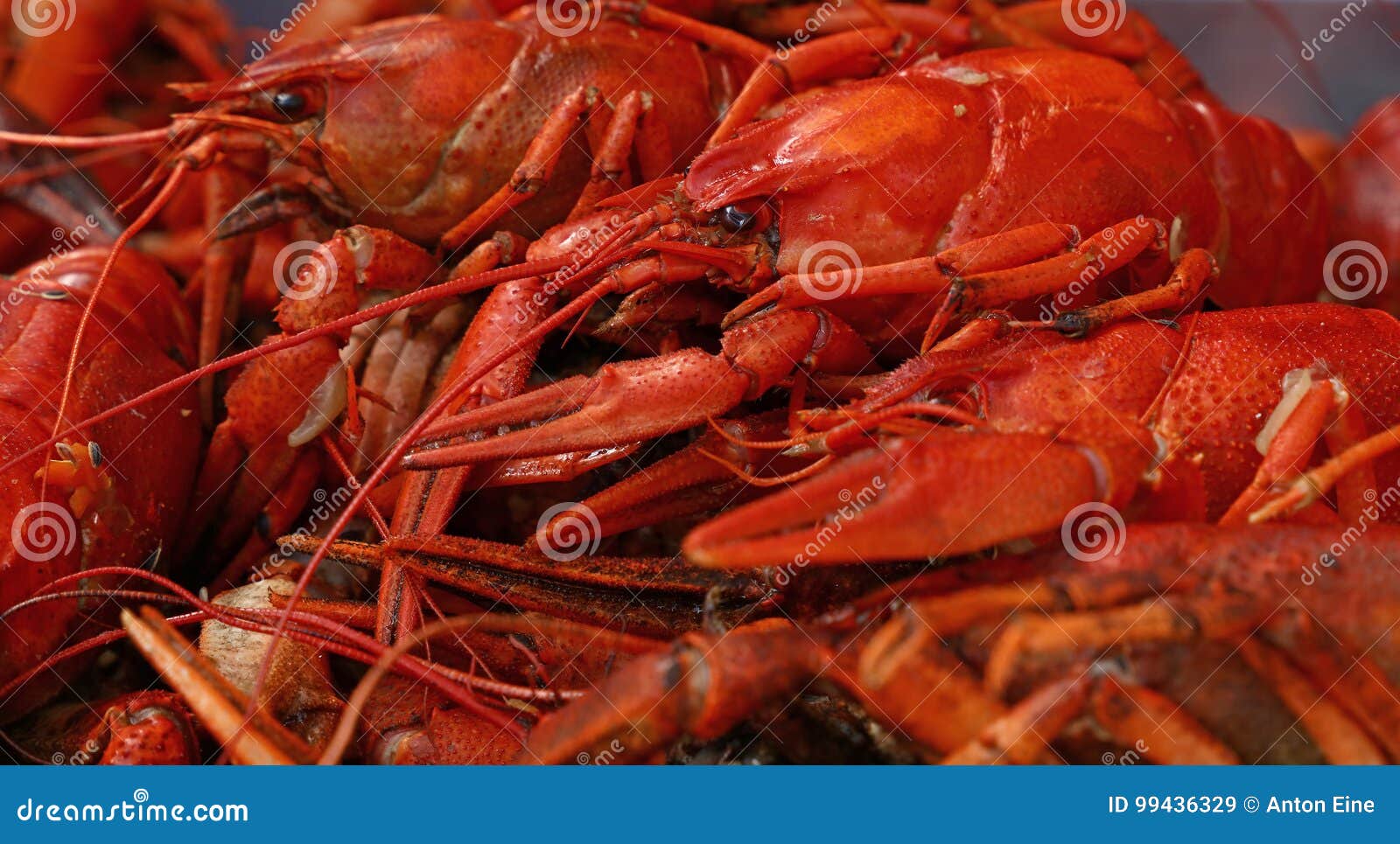 Portion of Cooked Red Crawfish Platter Close Up Stock Image - Image of ...