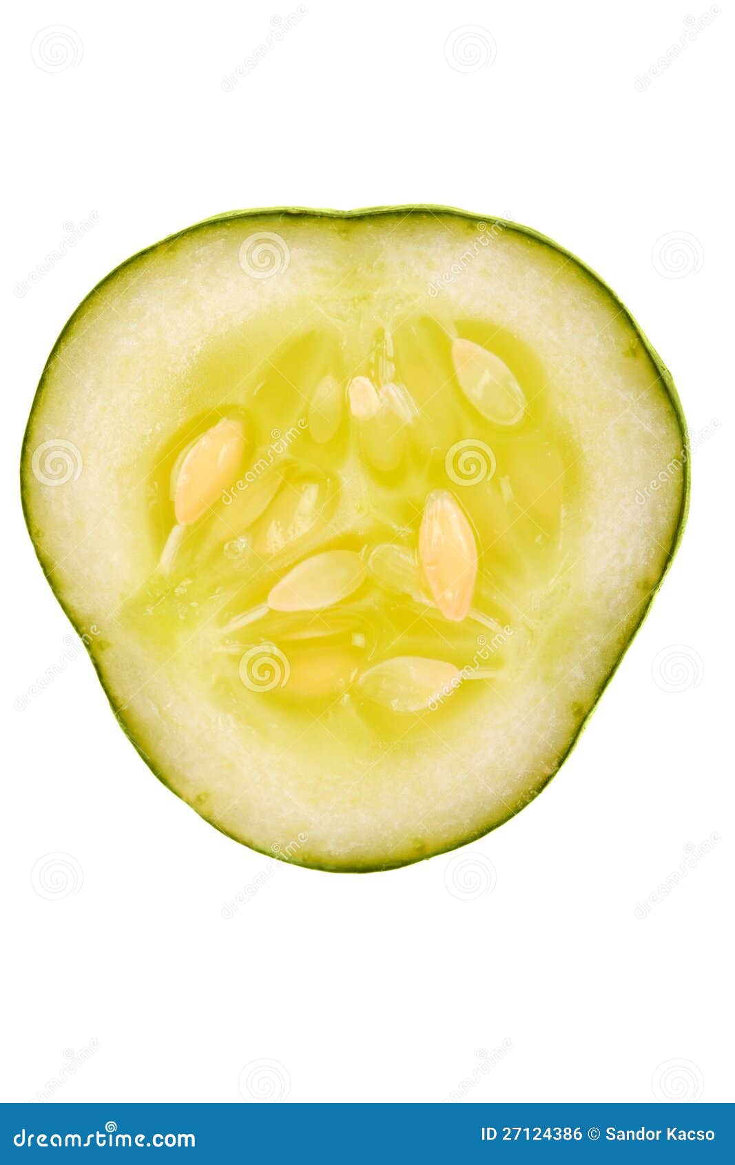 Portion of cucumber stock photo. Image of seasoned, cucumber - 27124386