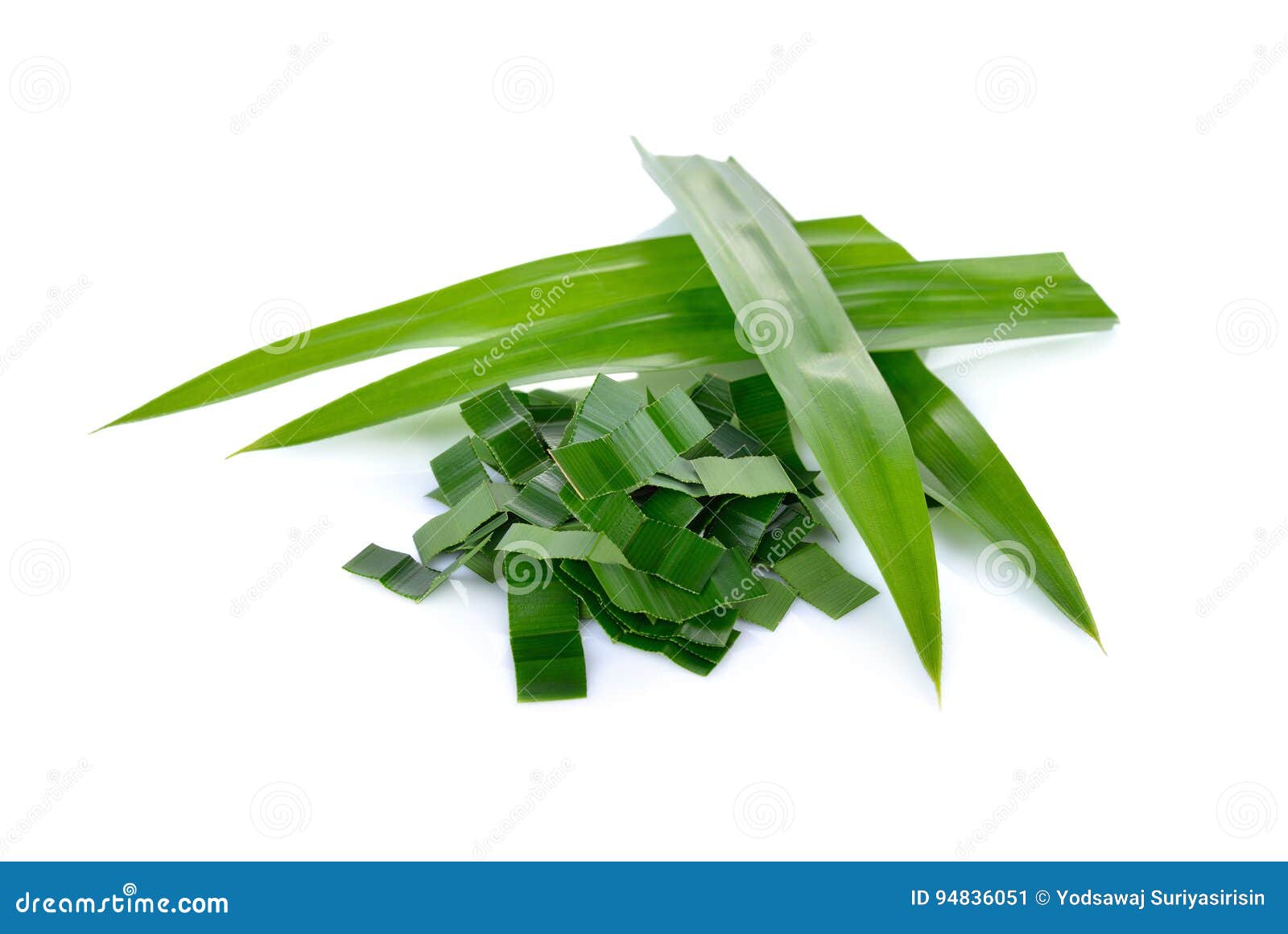 1,383 Fresh Pandan Plant White Background Stock Photos - Free & Royalty ...