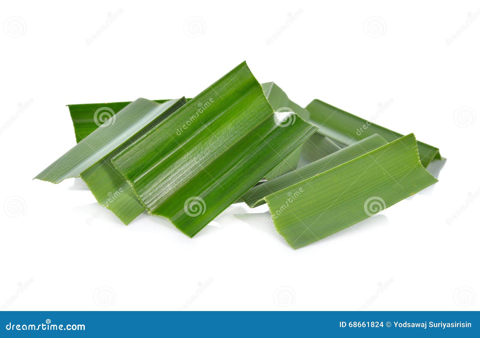 Portion Cut Fresh Pandan Leaves on White Stock Photo - Image of ...