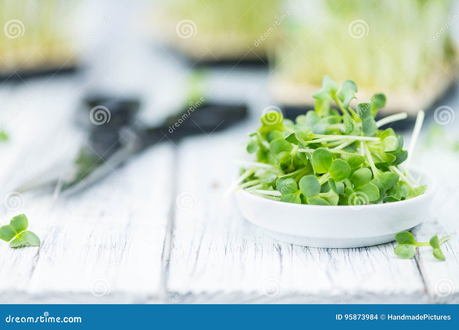 Portion of Cutted Cress stock photo. Image of mustard - 95873984