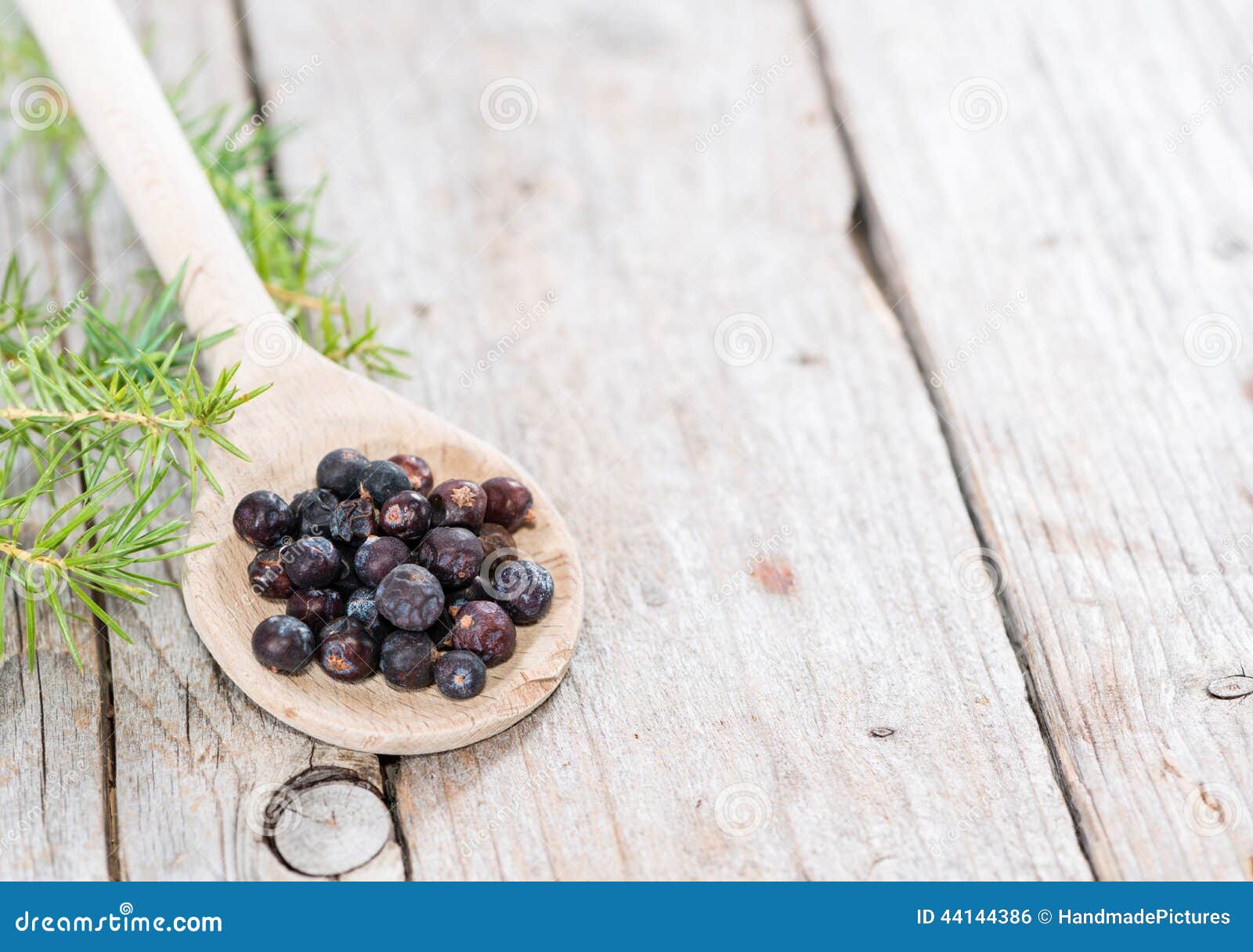 Portion of Dried Juniper Berries Stock Photo - Image of healthy ...