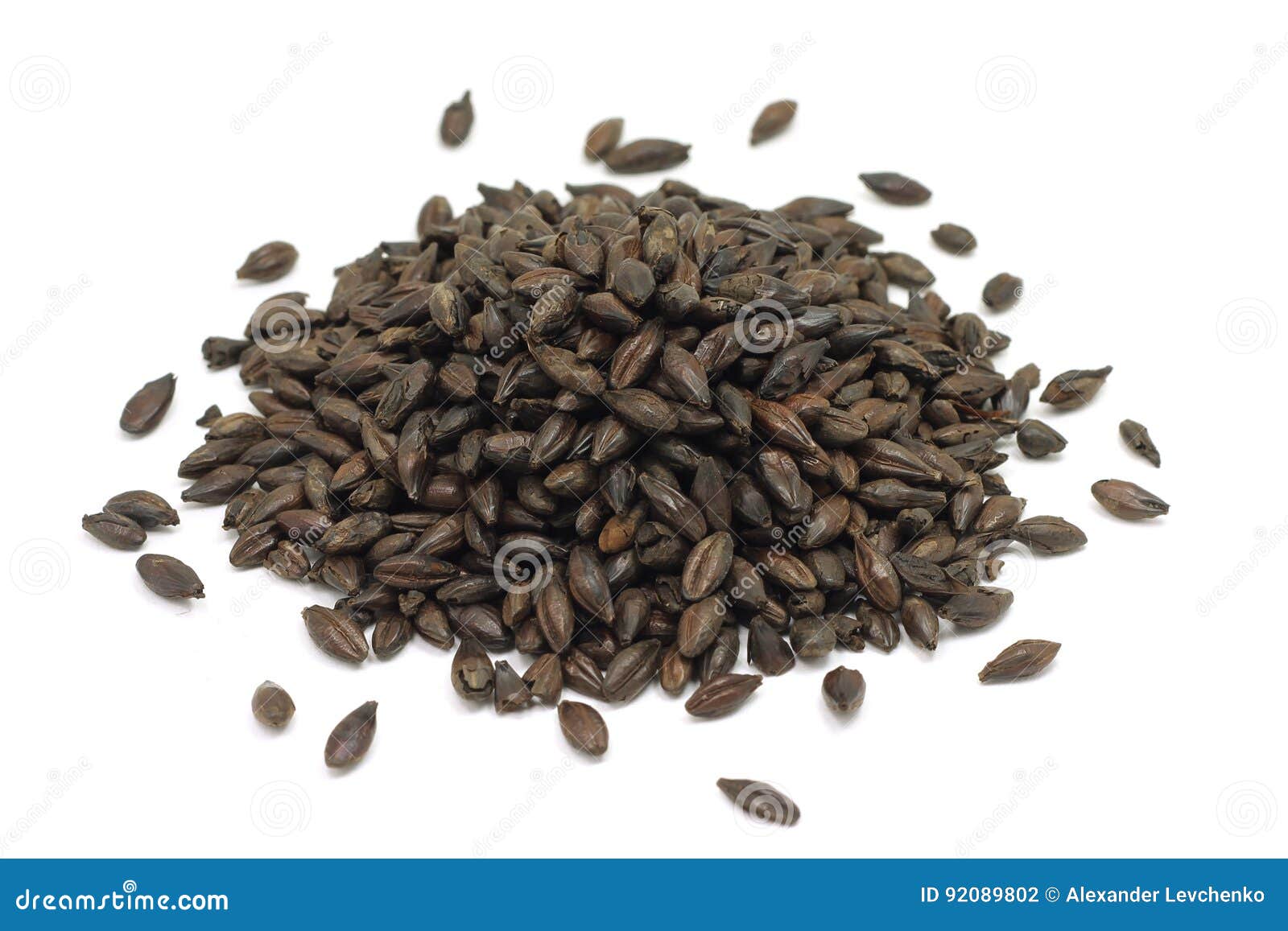 A Portion of Grains of Burnt Barley Stock Photo - Image of backgroundn ...