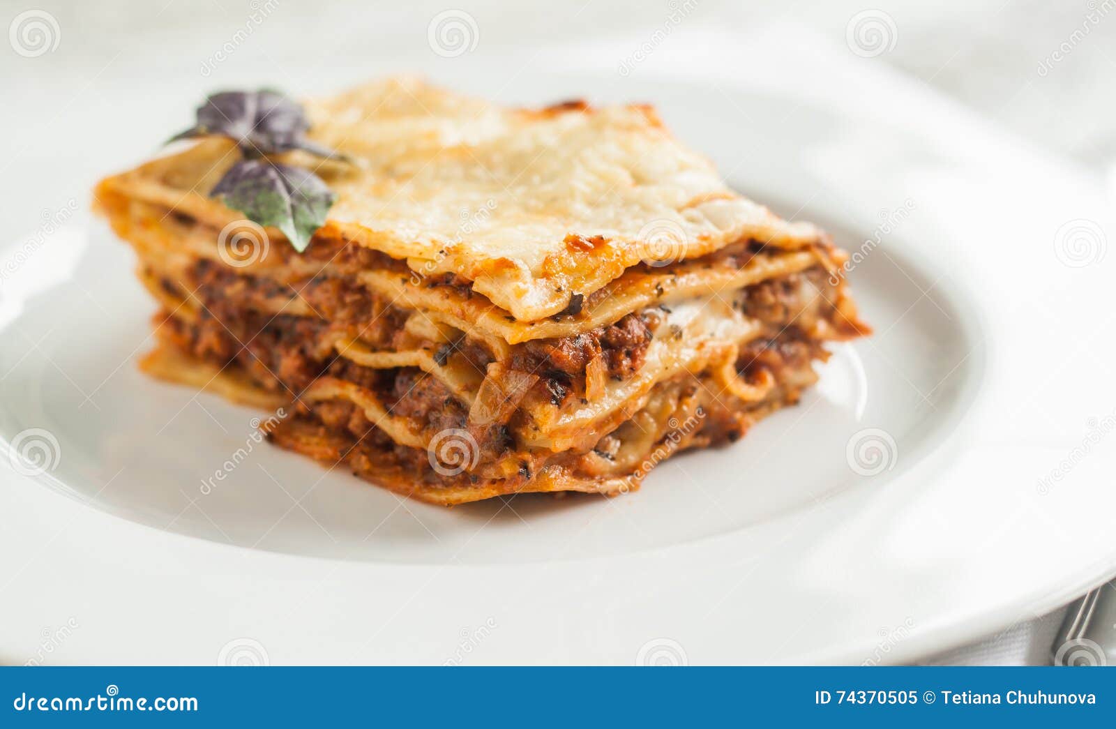Portion of Lasagne Bolognese on a White Plate Stock Image - Image of ...