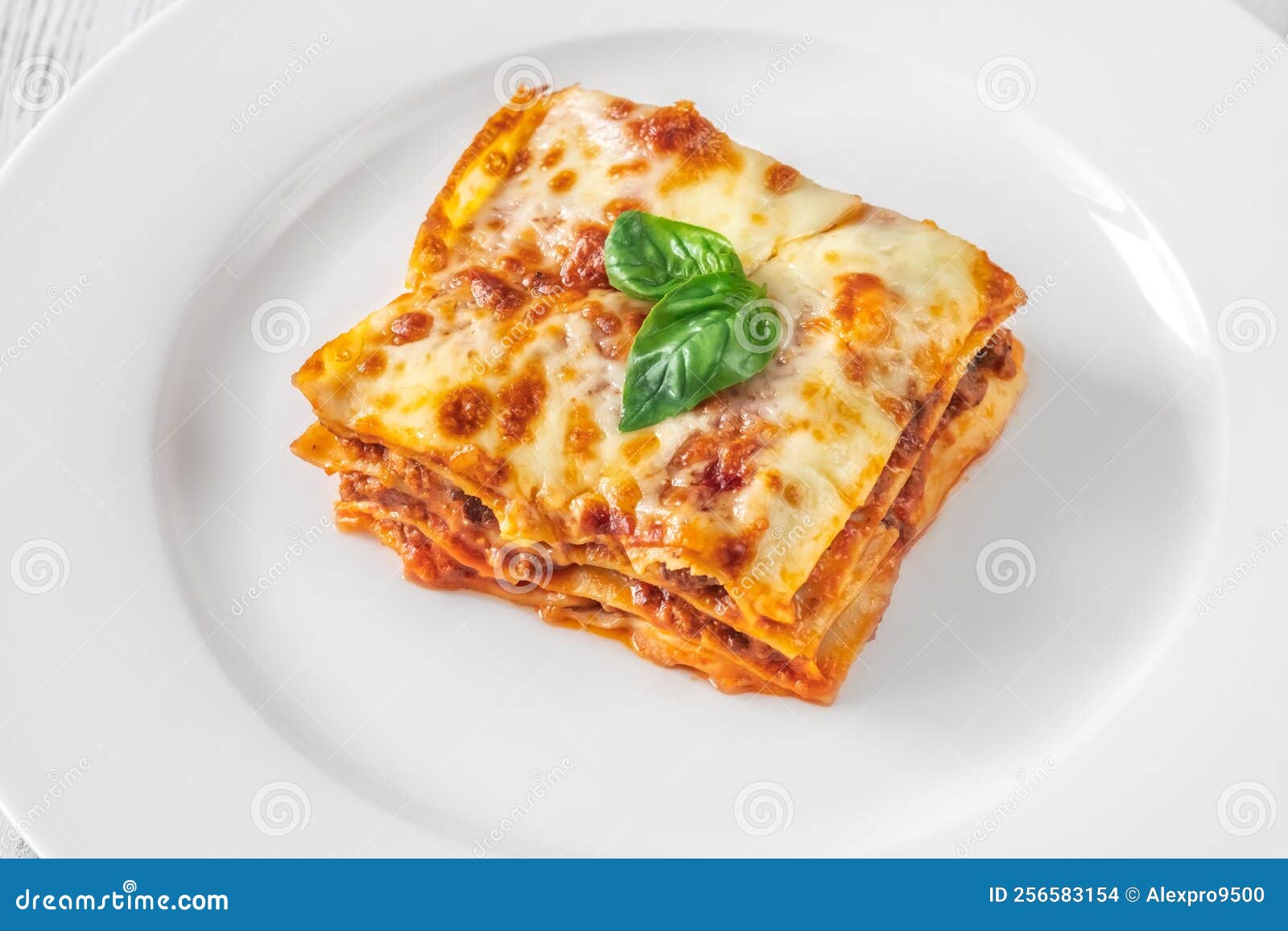 Portion of Lasagne on White Plate Stock Photo - Image of golden ...