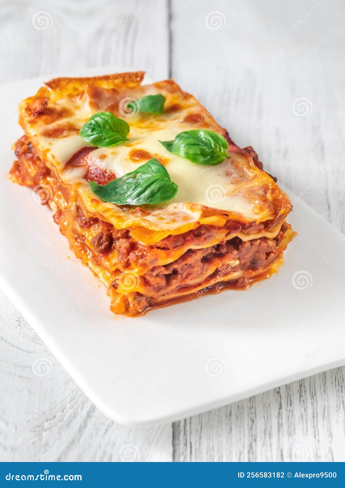 Portion of Lasagne on White Plate Stock Photo - Image of flat, lunch ...