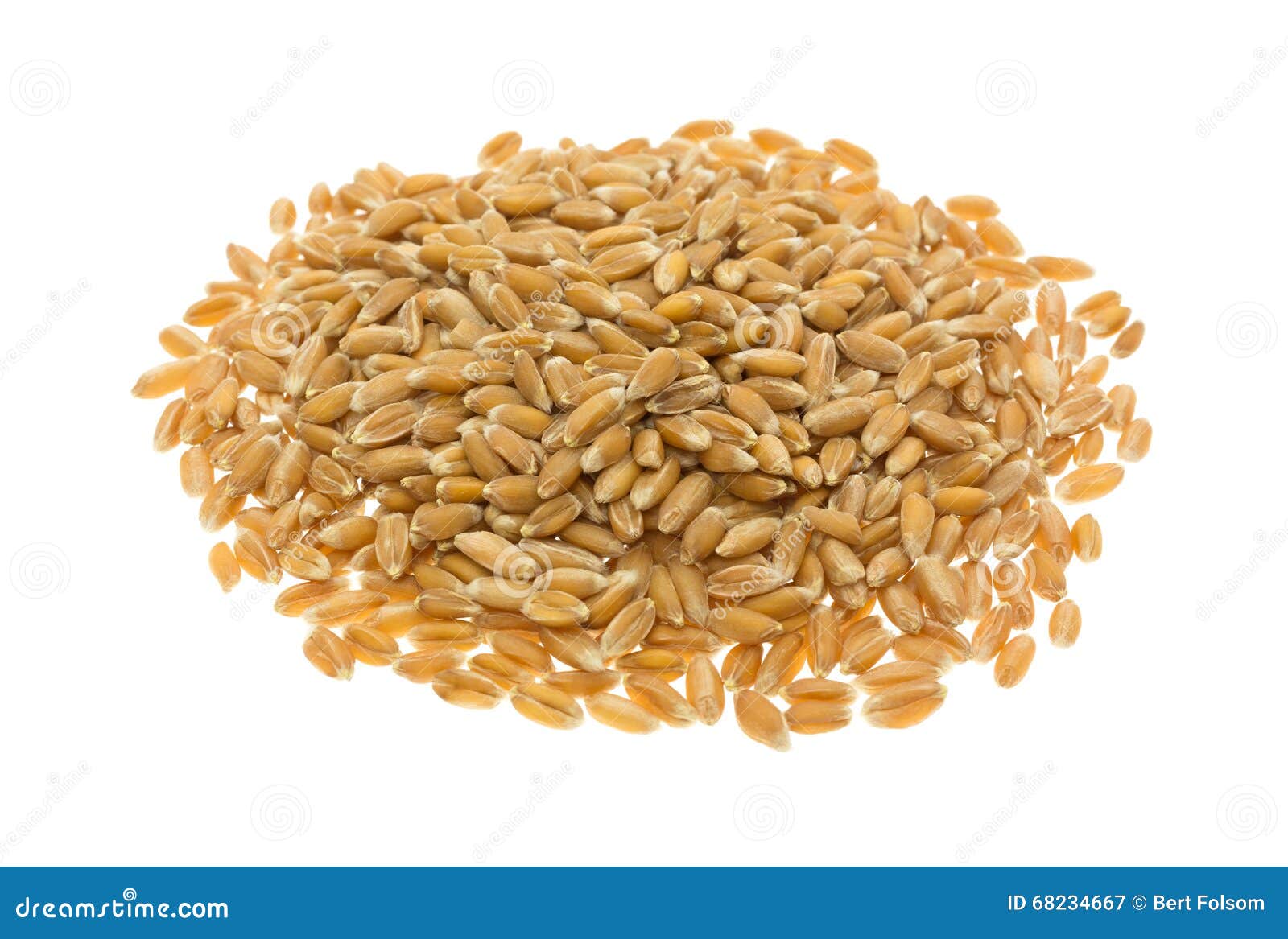 Portion of Organic Spelt Isolated on a White Background Stock Image ...