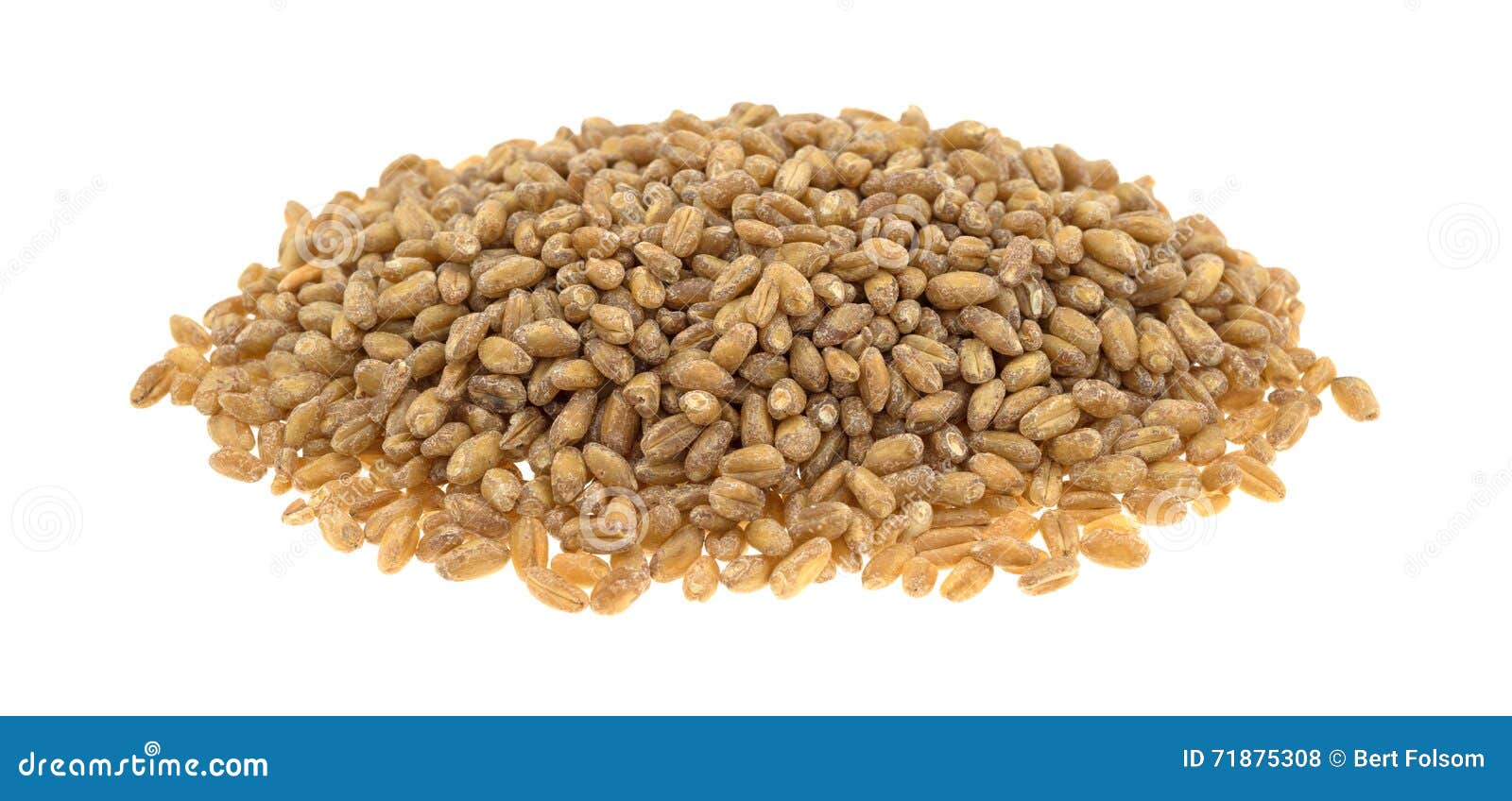 Portion of Red Winter Wheat Berries on White Background Stock Photo ...