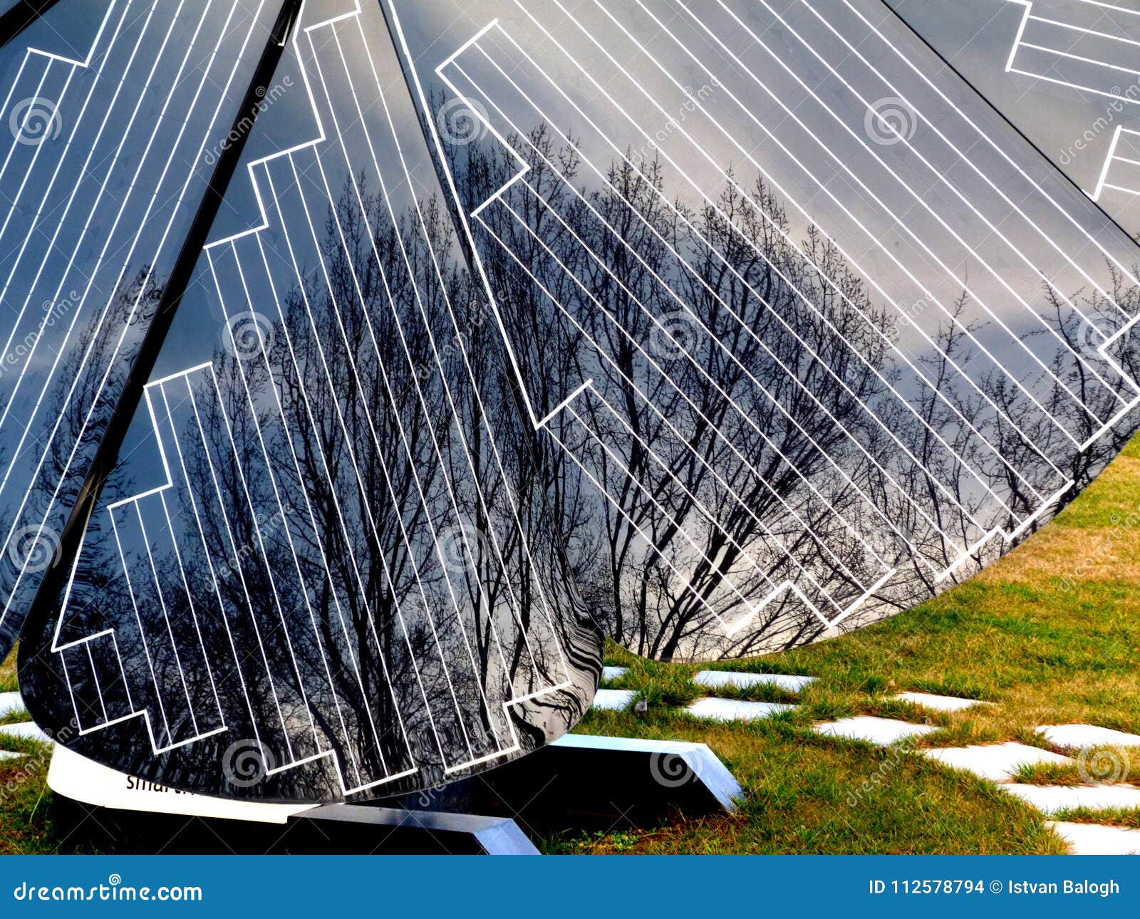 Portion of Solar Panel with Reflecting Tree Stock Photo - Image of ...