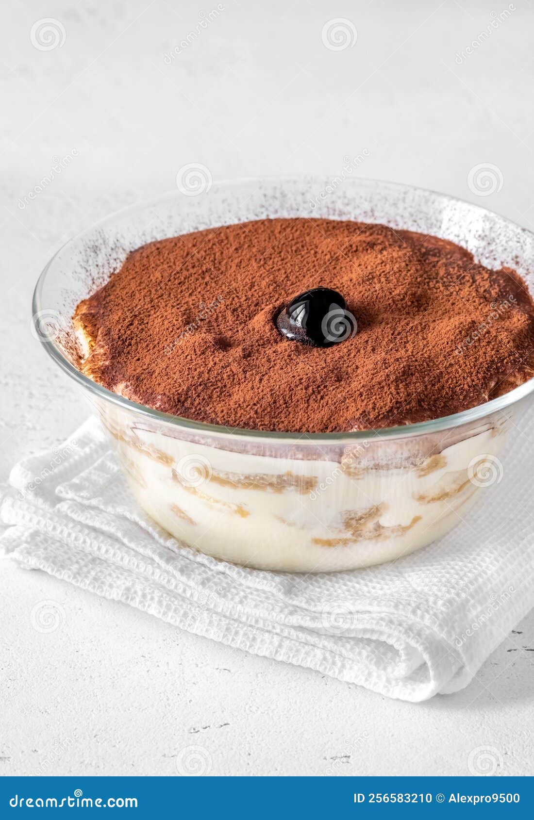 Portion of tiramisu stock photo. Image of creme, homemade - 256583210