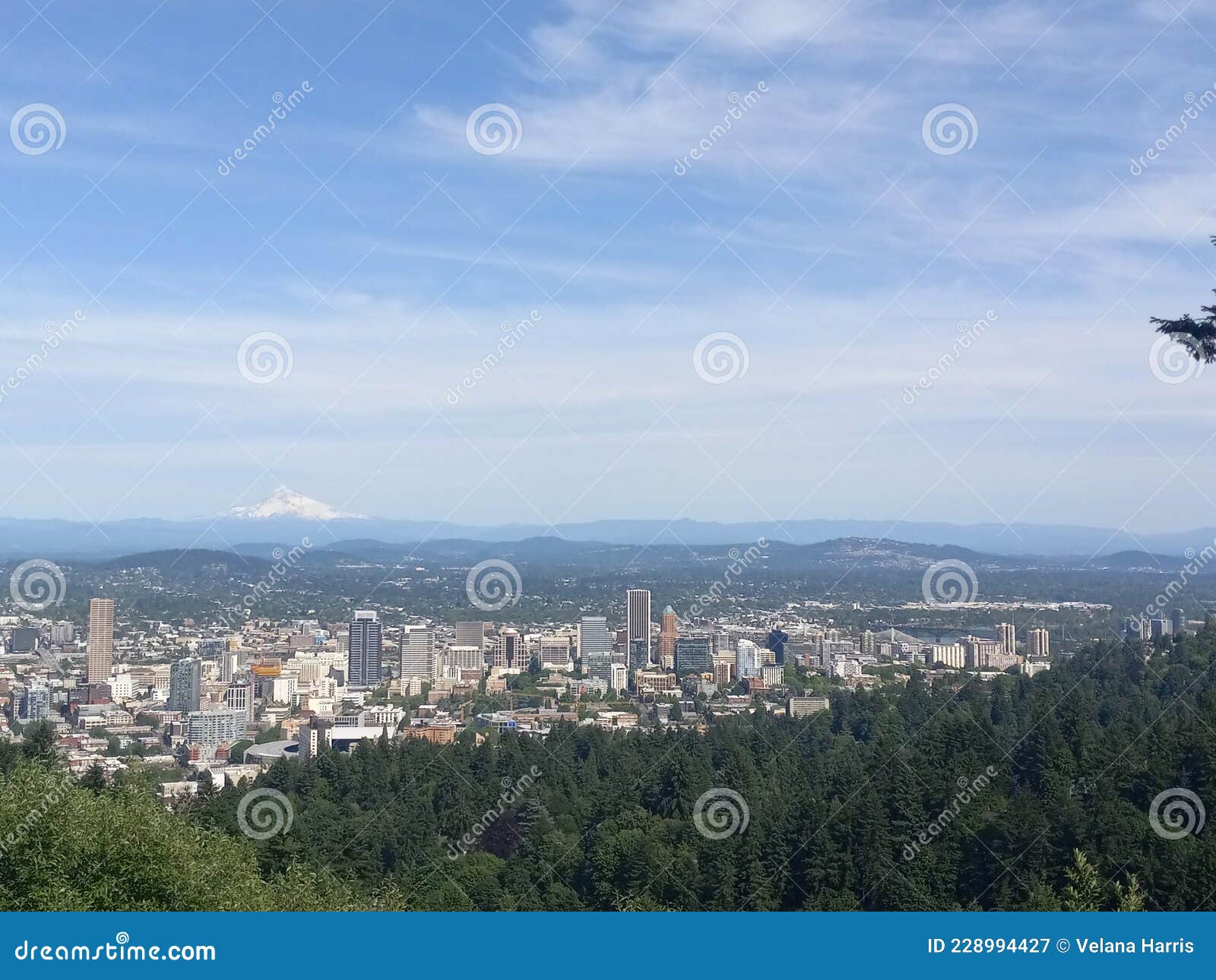 Portland Landscape Skyline stock image. Image of skyscraper - 228994427