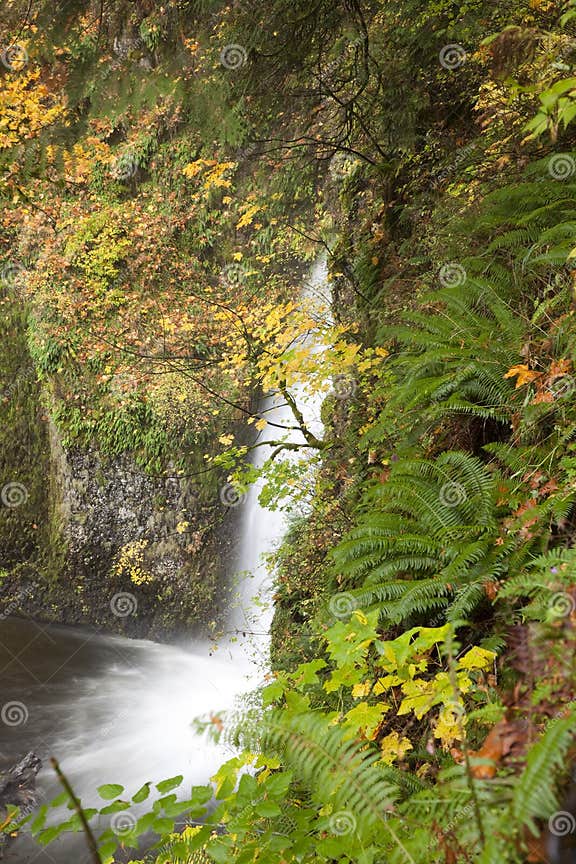 Portland Multnomah Falls stock photo. Image of outdoors - 11781224