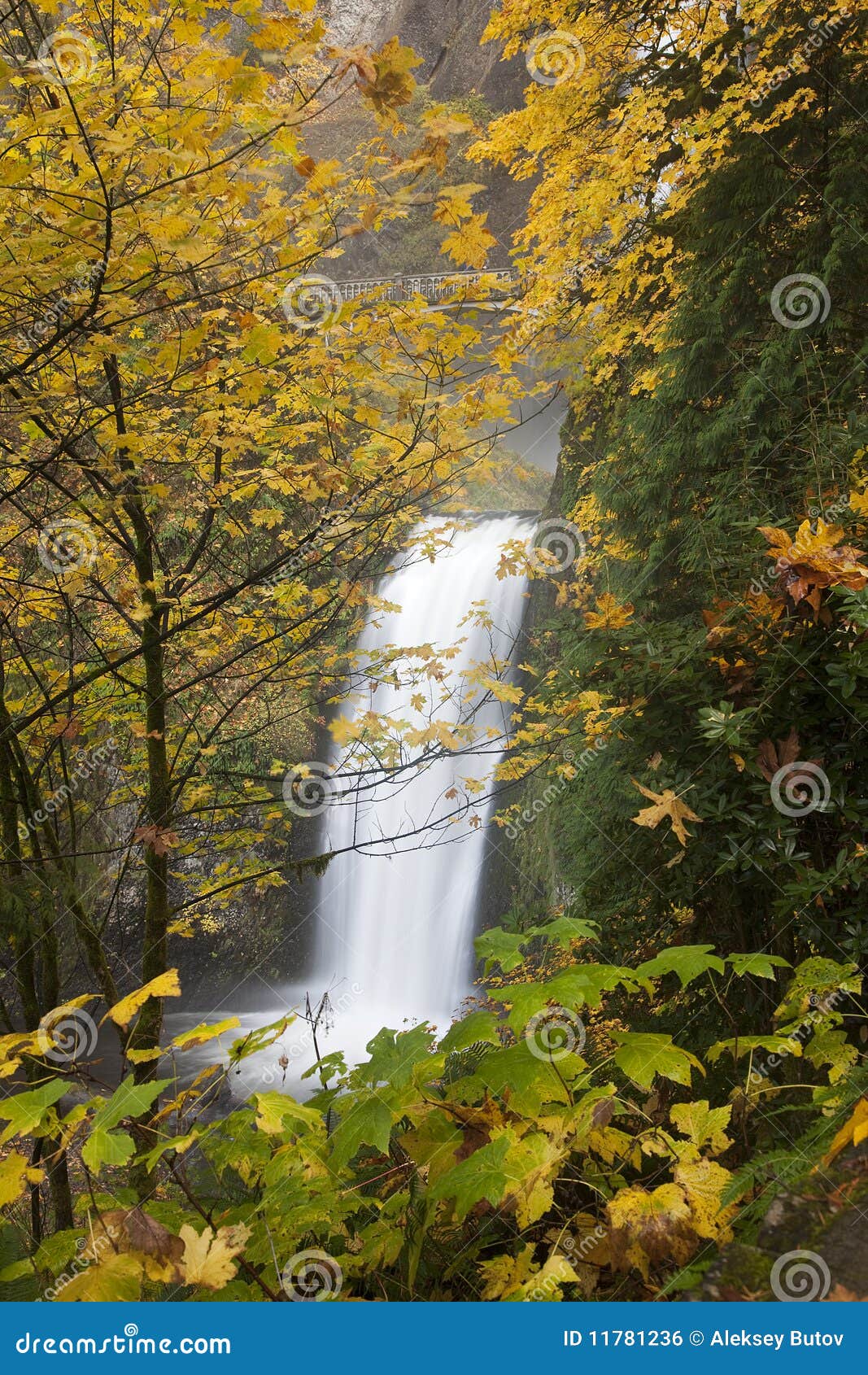 Portland Multnomah Falls stock photo. Image of outdoors - 11781236