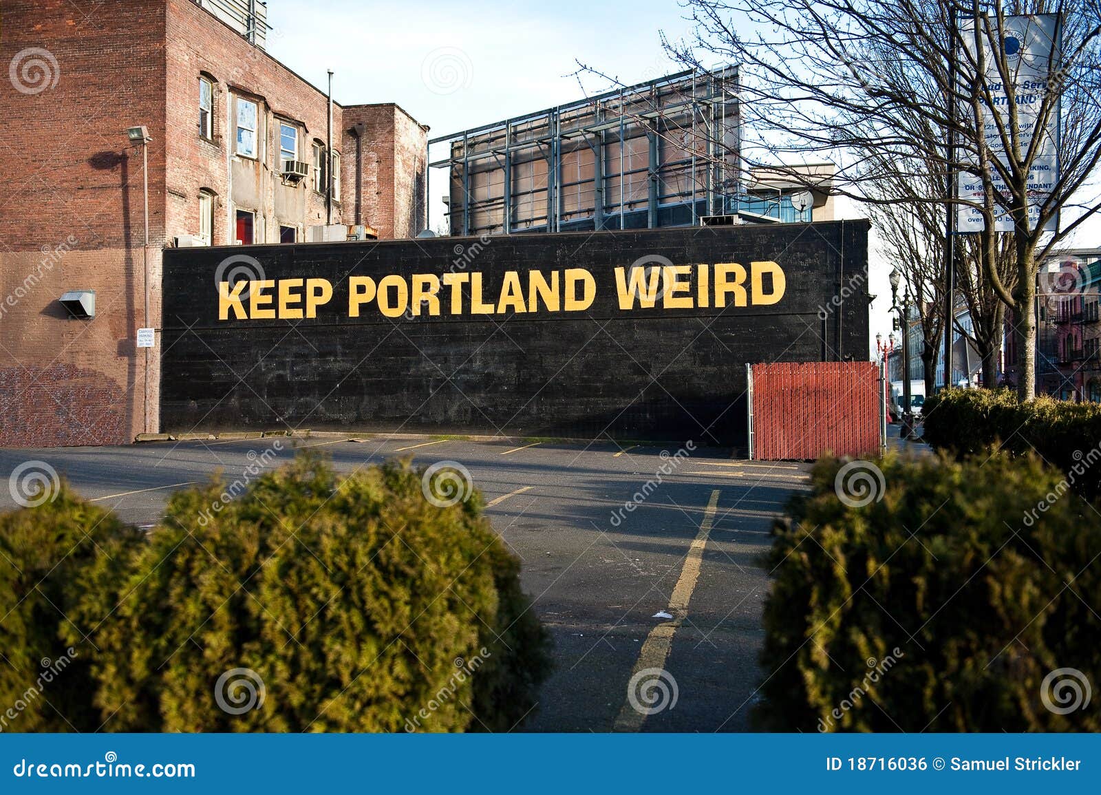 Fondo De Pantalla Keep Portland Weird