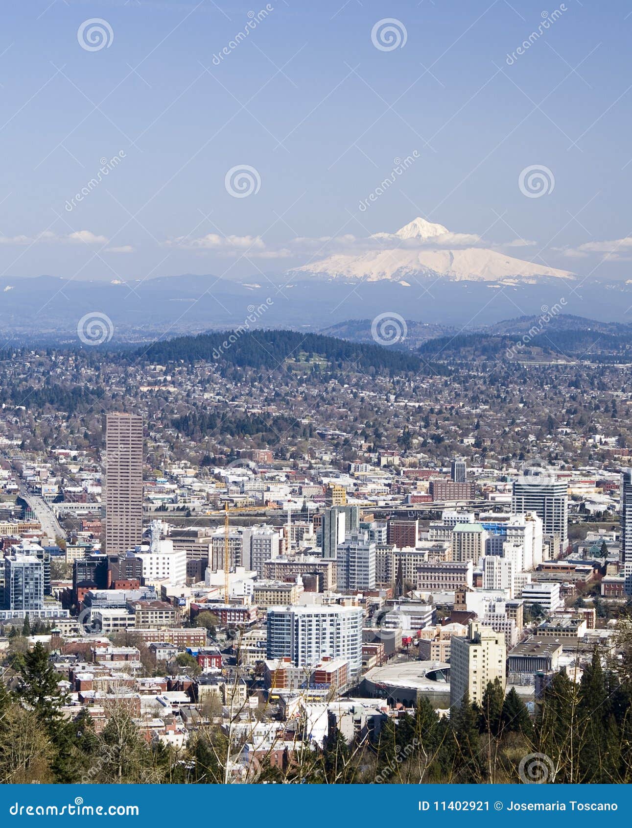 Portland, Oregon Cityscape stock image. Image of cityscape - 11402921