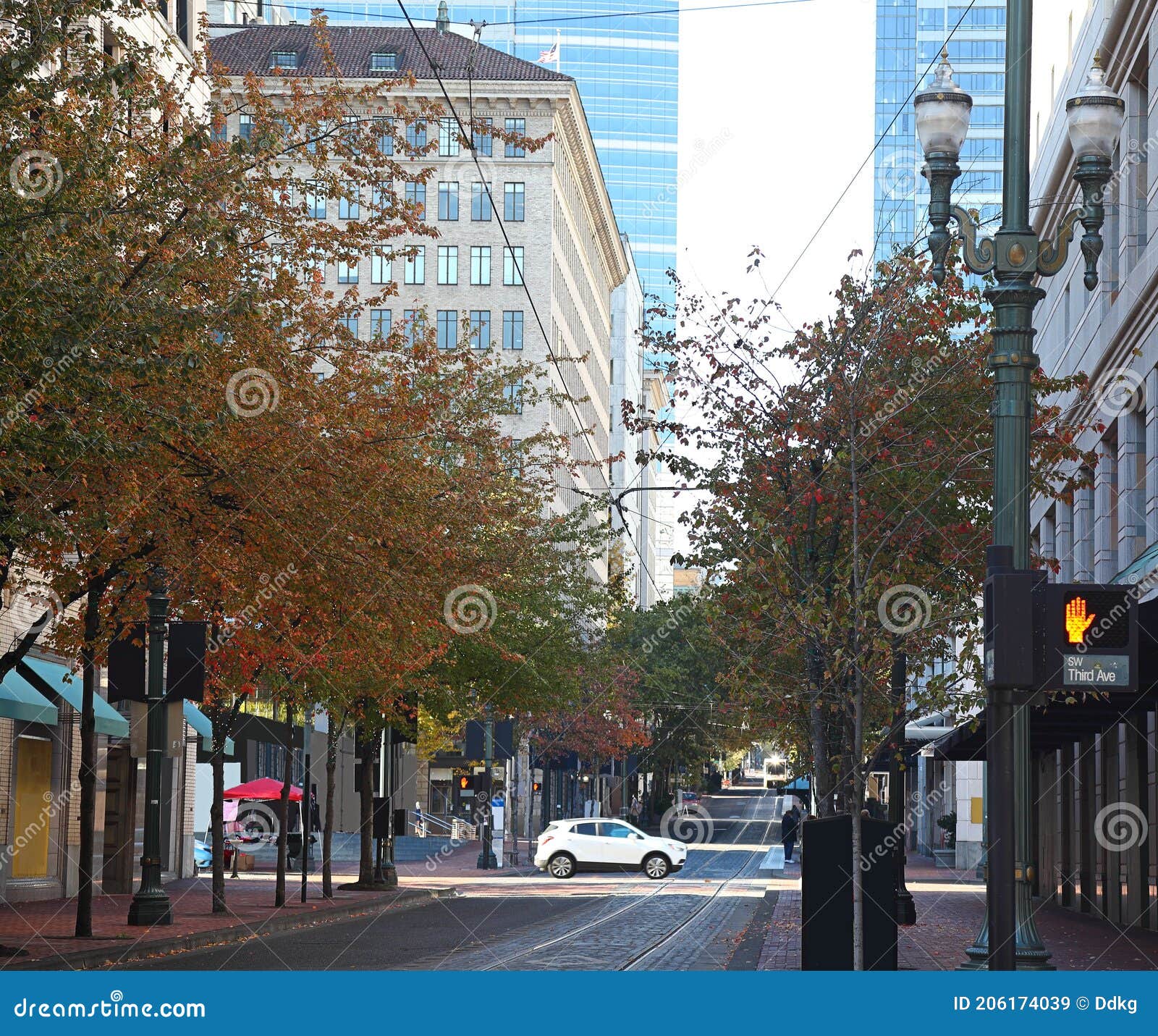 Portland, Oregon in the Fall Stock Image - Image of tree, landscape ...