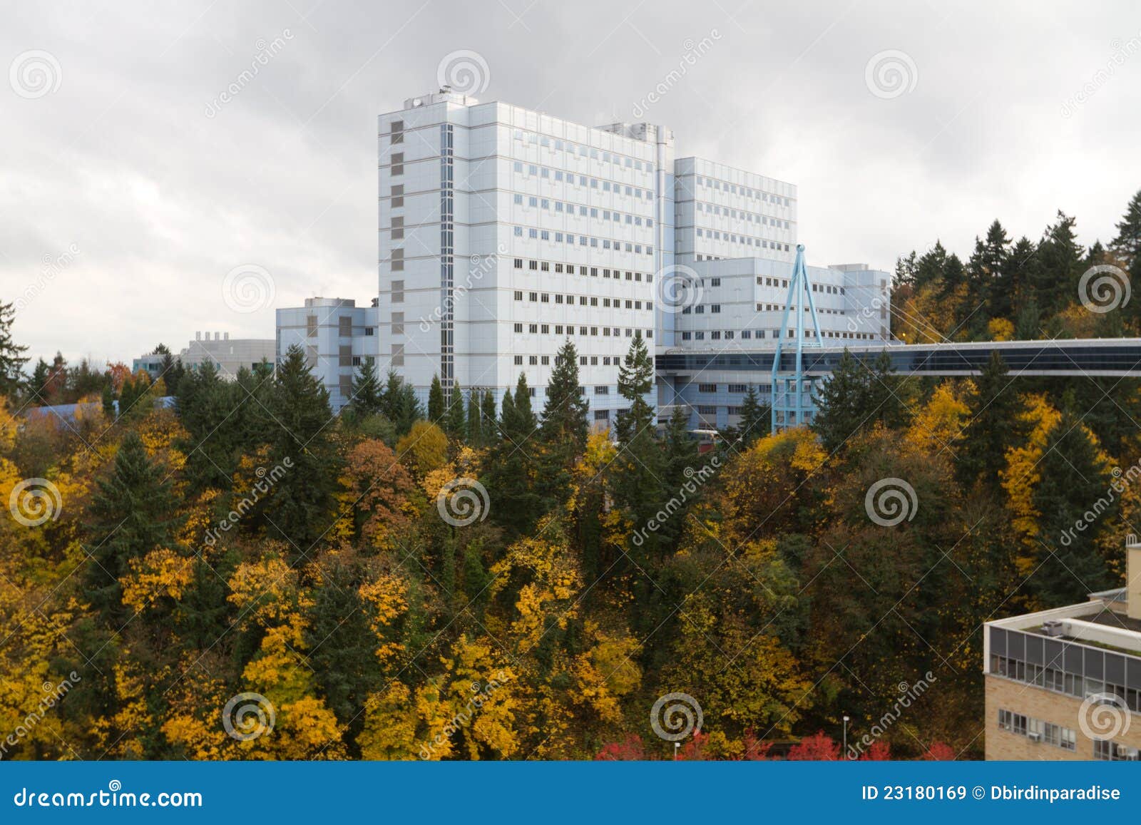 Portland, Oregon- November 19, 2011 Editorial Stock Image - Image of ...