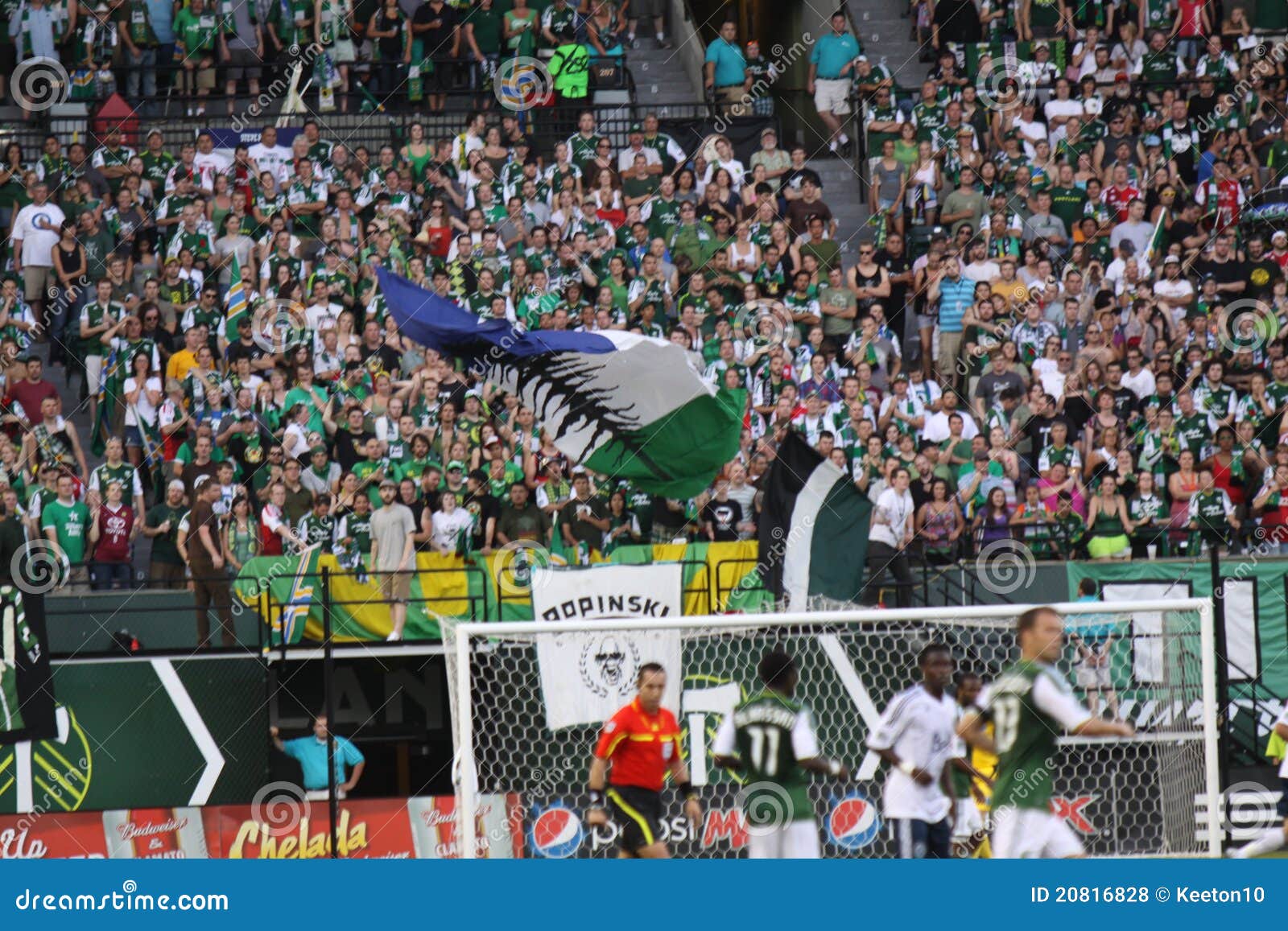 Portland Timbers fans editorial stock photo. Image of jeld - 20816828