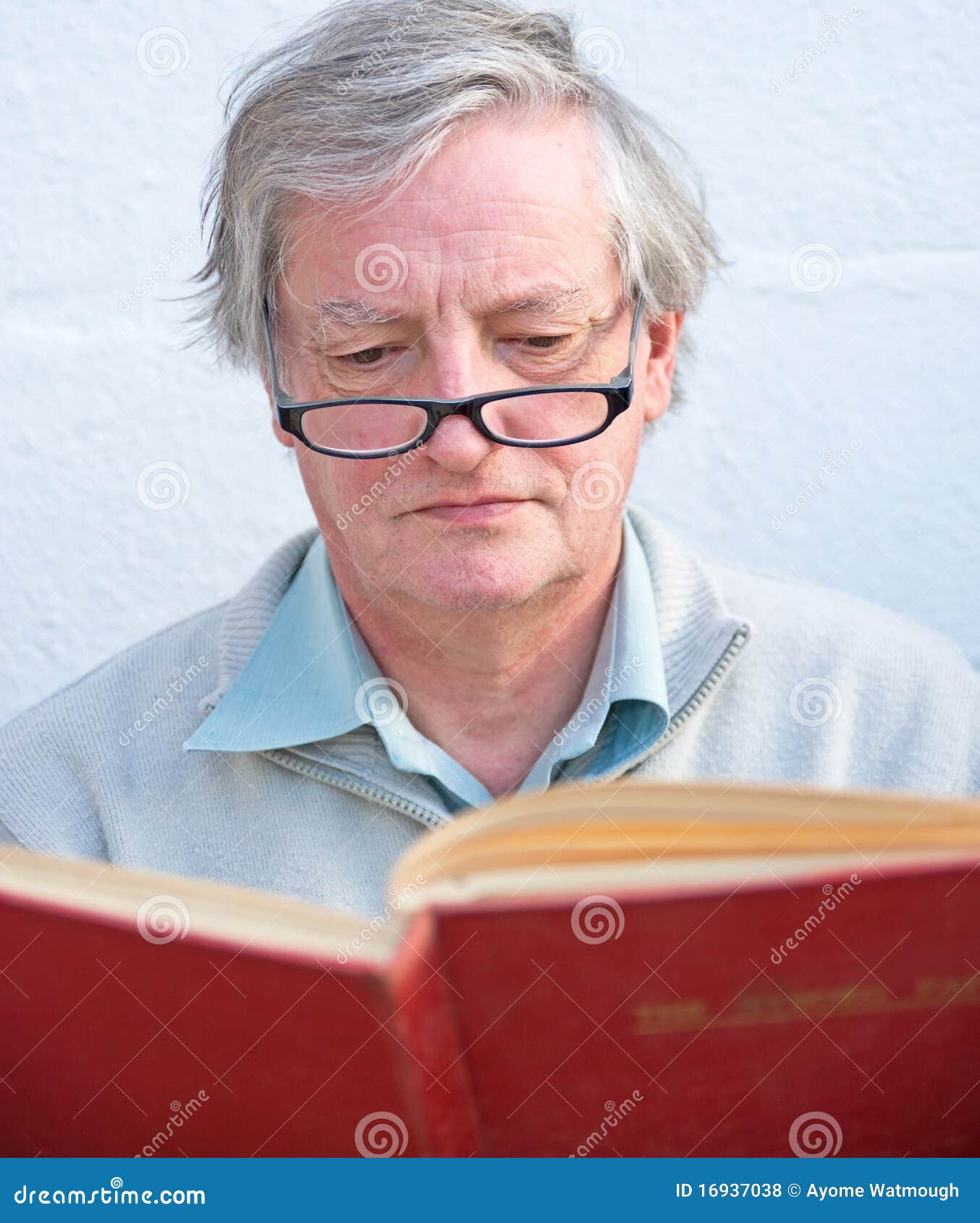 Portrait of an academic. stock photo. Image of white - 16937038