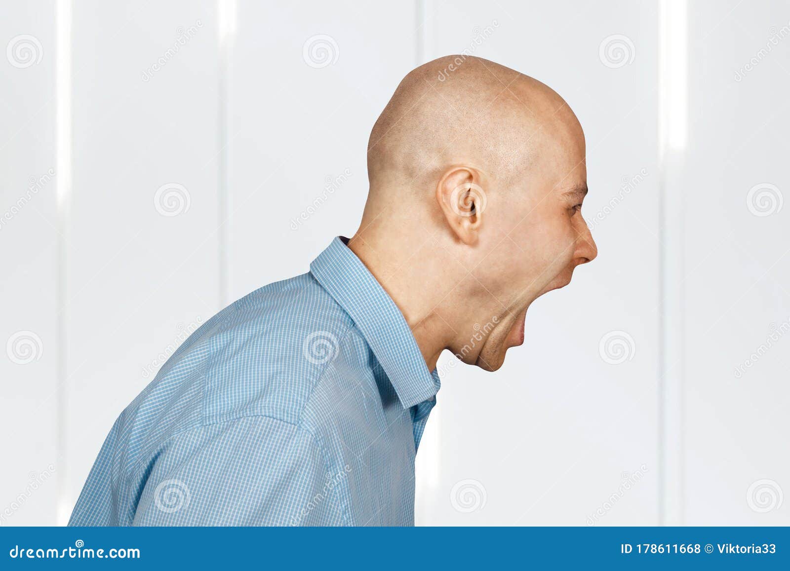 Portrait Aggressive Bald Angry Man Boss, Screaming at Subordinate Stock ... Portrait Aggressive Bald Angry Man Boss, Screaming at Subordinate Stock ...