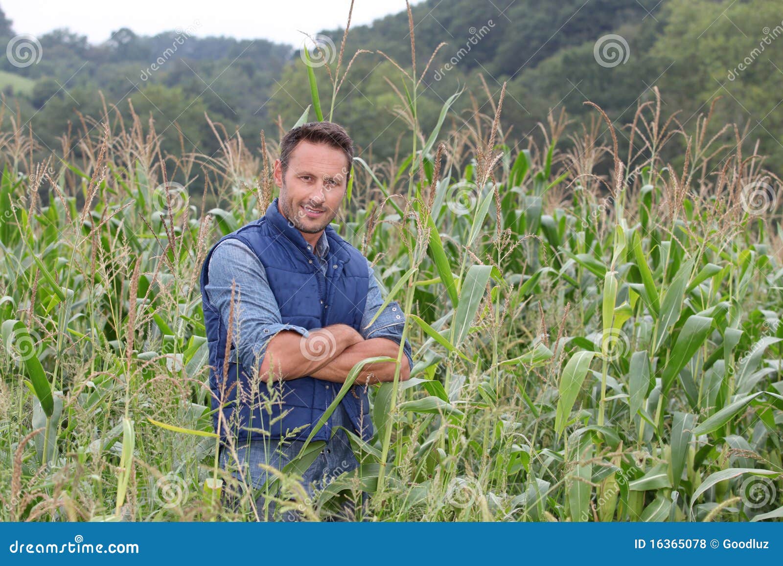 Portrait of agronomist stock photo. Image of organic - 16365078