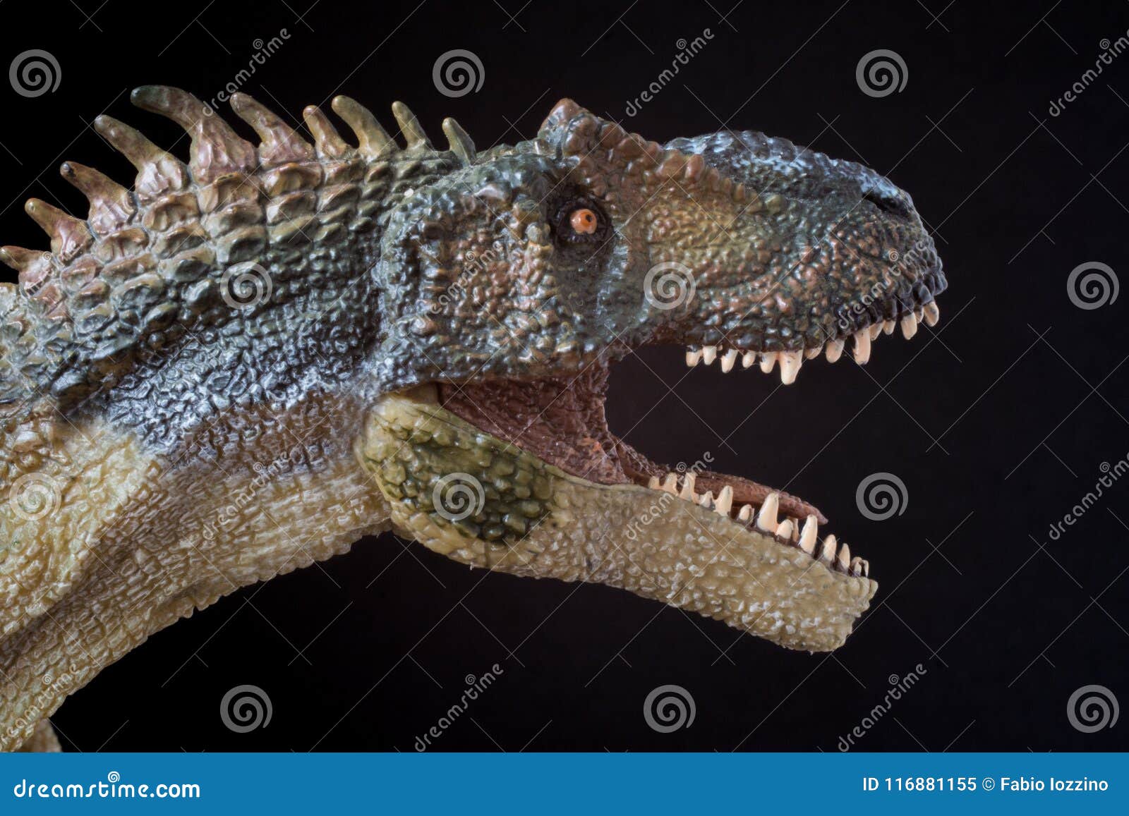 Portrait Of An Allosaur On Black Background Stock Photo | CartoonDealer ...