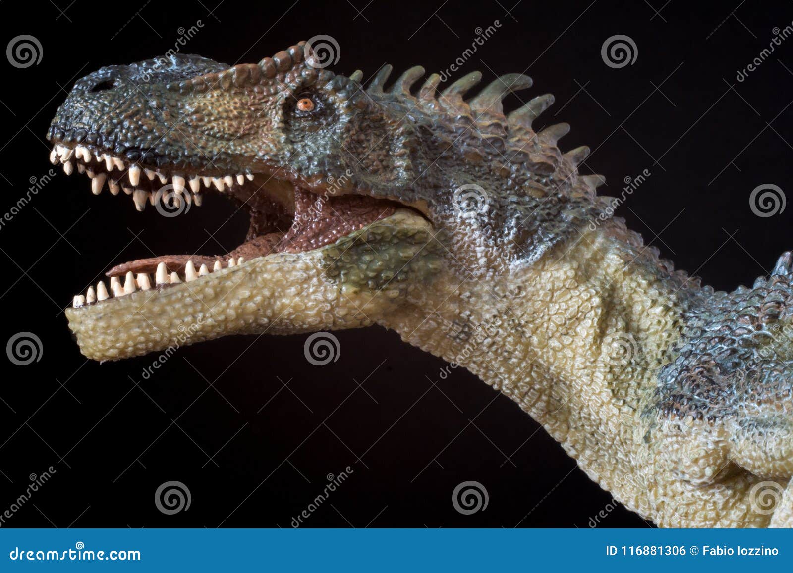 Portrait Of An Allosaur On Black Background Stock Photo | CartoonDealer ...