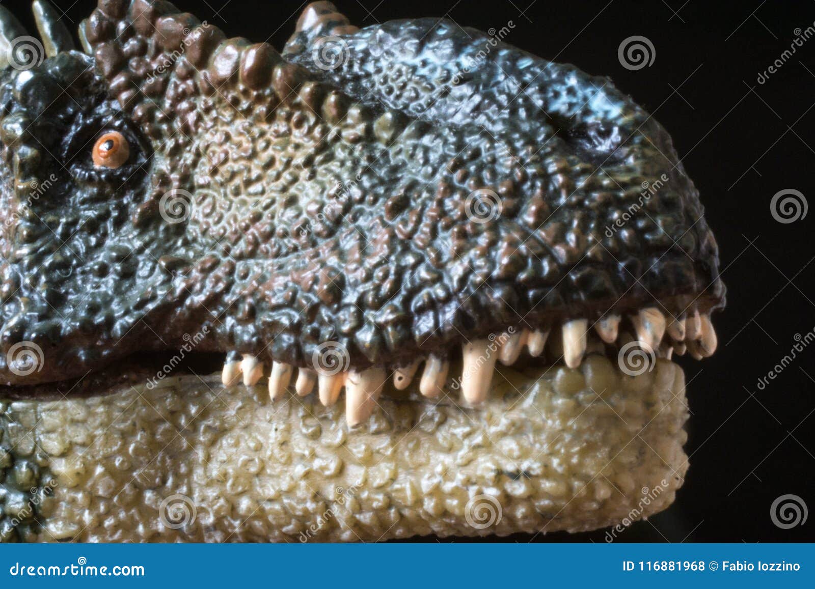 Portrait Of An Allosaur On Black Background Stock Photo | CartoonDealer ...