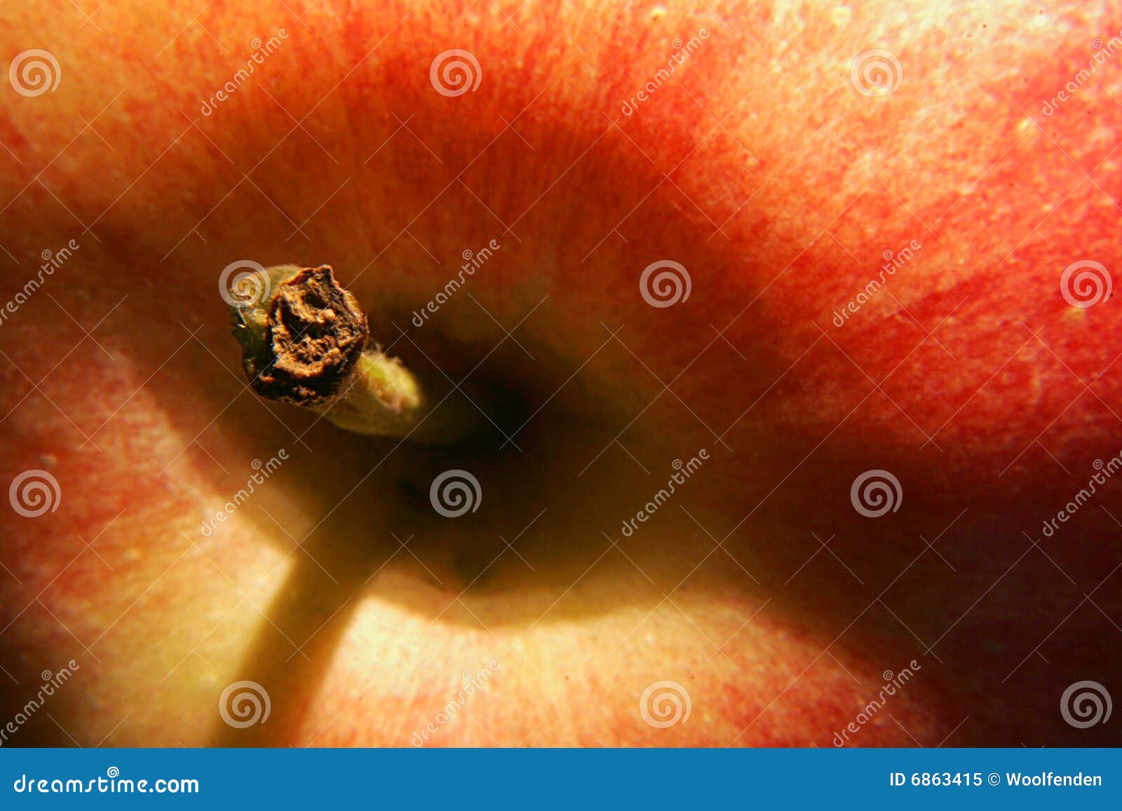 Portrait of an Apple stock image. Image of orange, close - 6863415