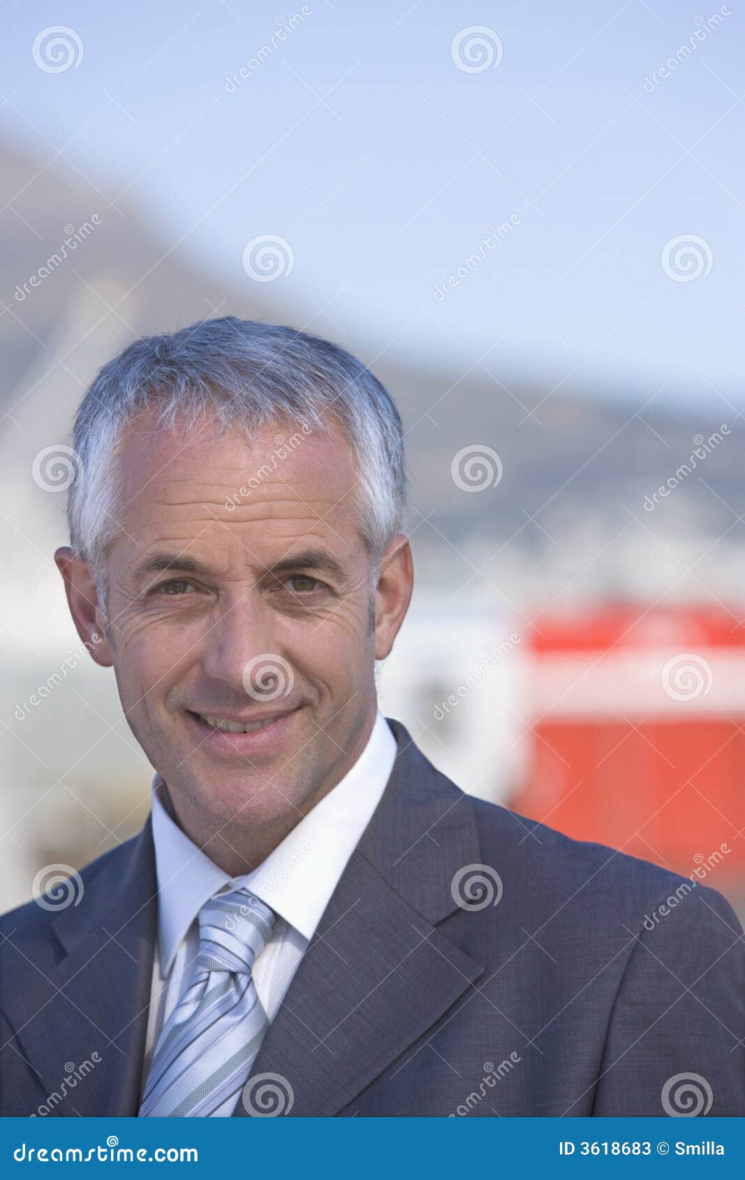 Portrait of an architect stock image. Image of finance - 3618683