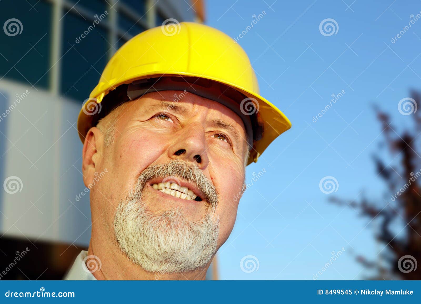Portrait of an architect stock image. Image of businessman - 8499545