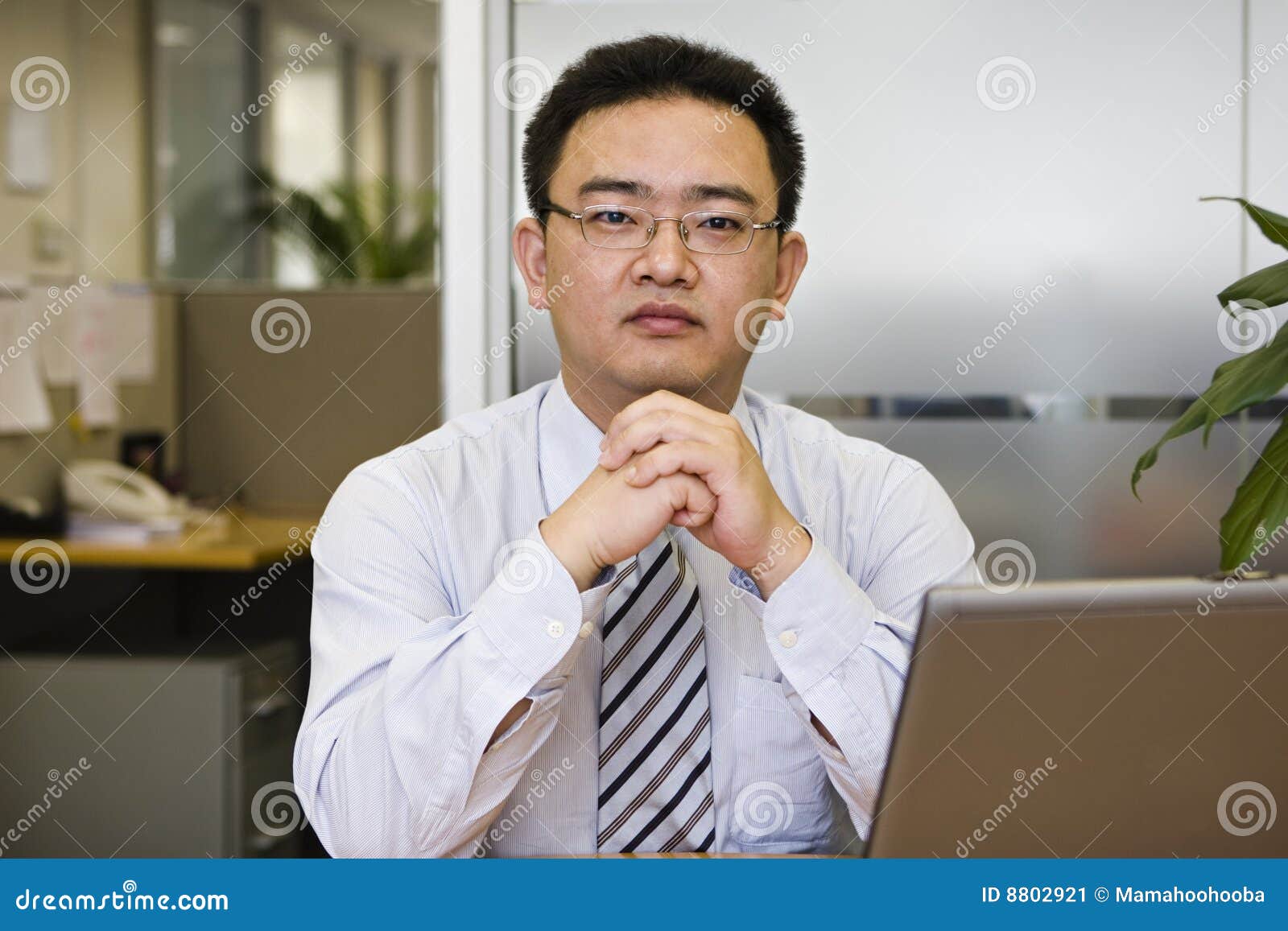 Portrait of Asian Business Executive Stock Image - Image of camera ...