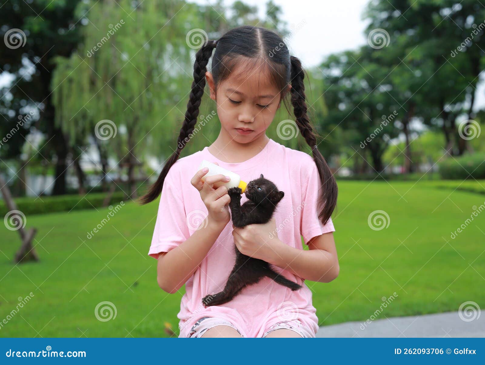 Portrait of Asian Kid Feeding for Her Kitten Stock Photo - Image of ...
