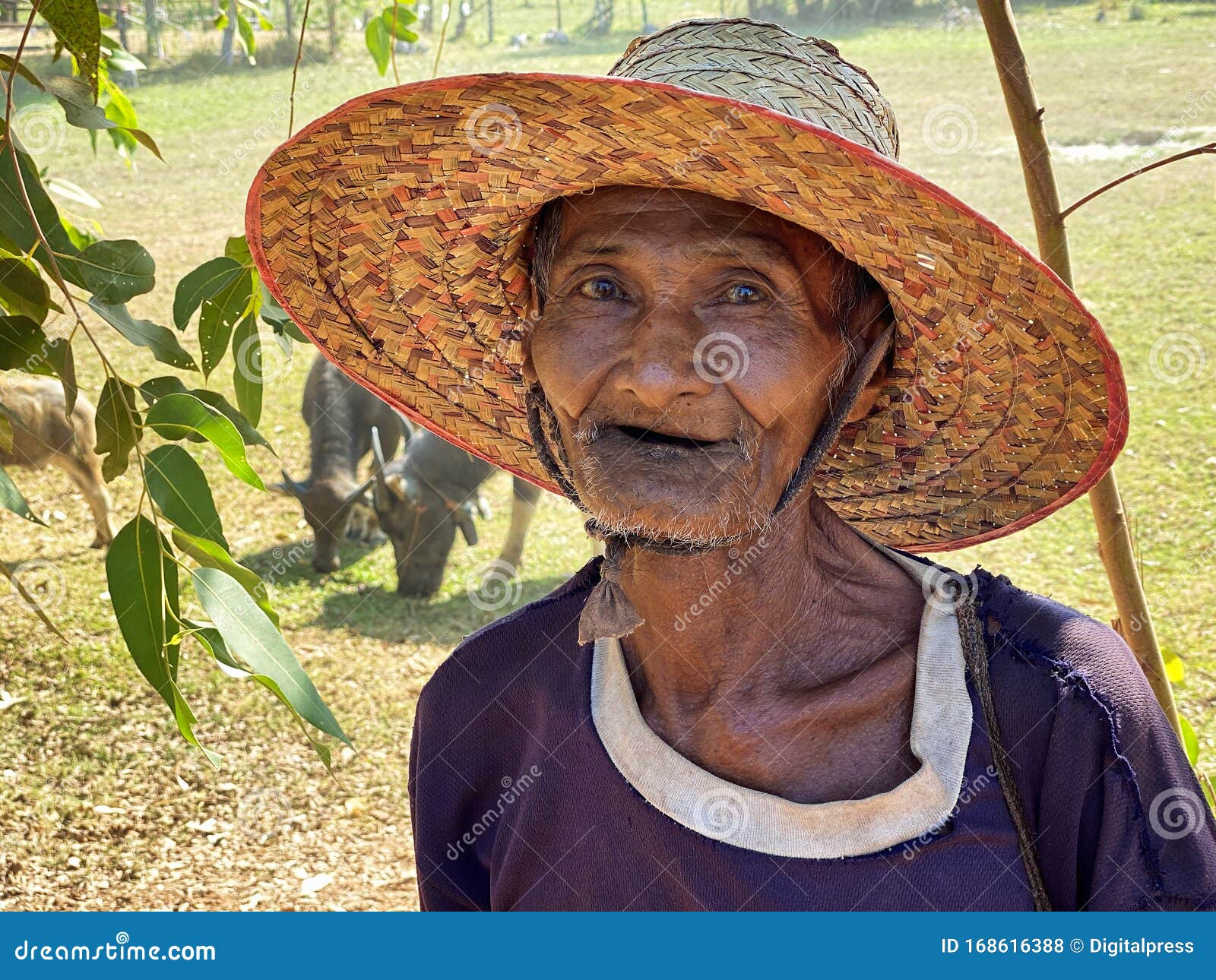 Portrait Asian Senior stock photo. Image of seniors - 168616388
