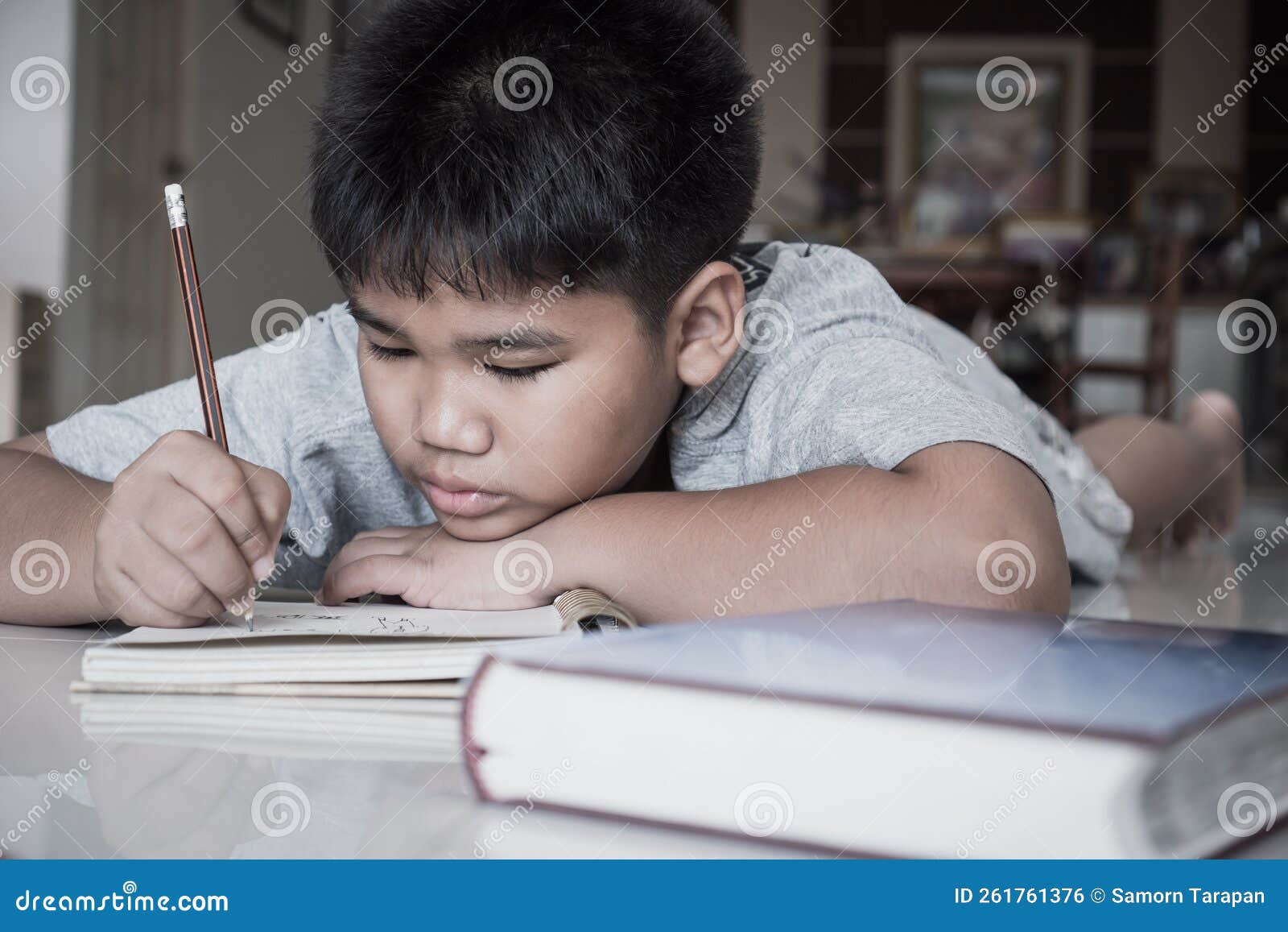 Portrait Asian Student Boy Elementary Lay Doing His Homework on ...
