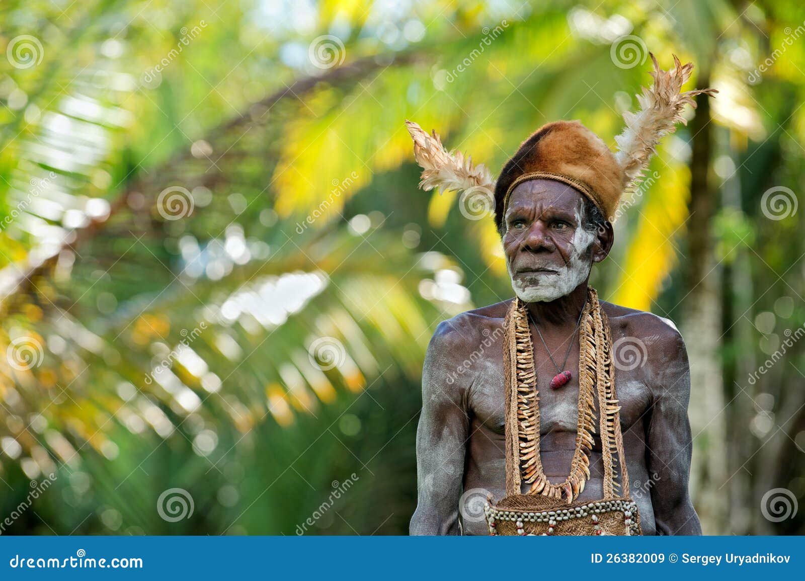 Portrait of the Asmat man editorial stock image. Image of local - 26382009