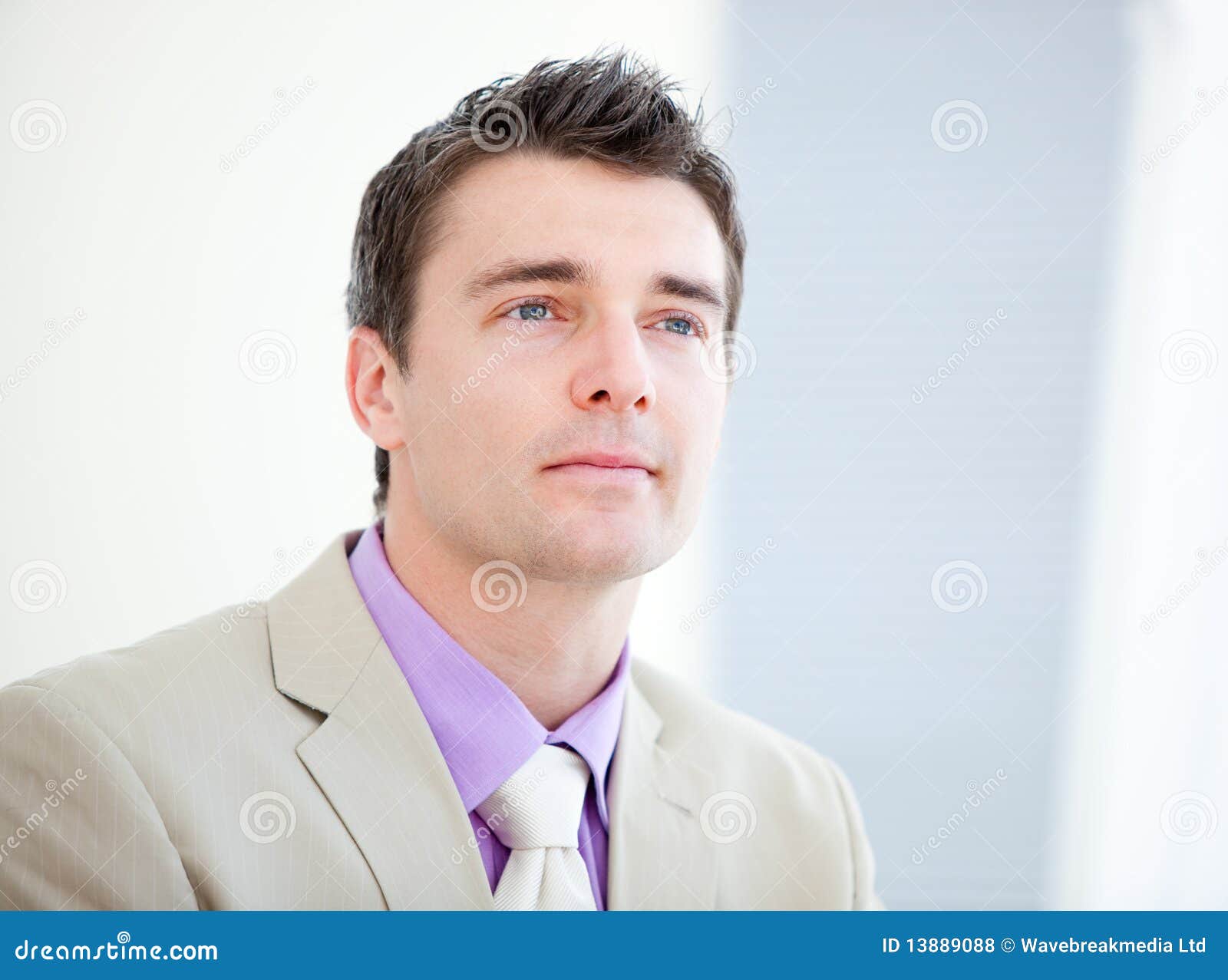 Portrait of an Assertive Businessman Stock Photo - Image of lively ...