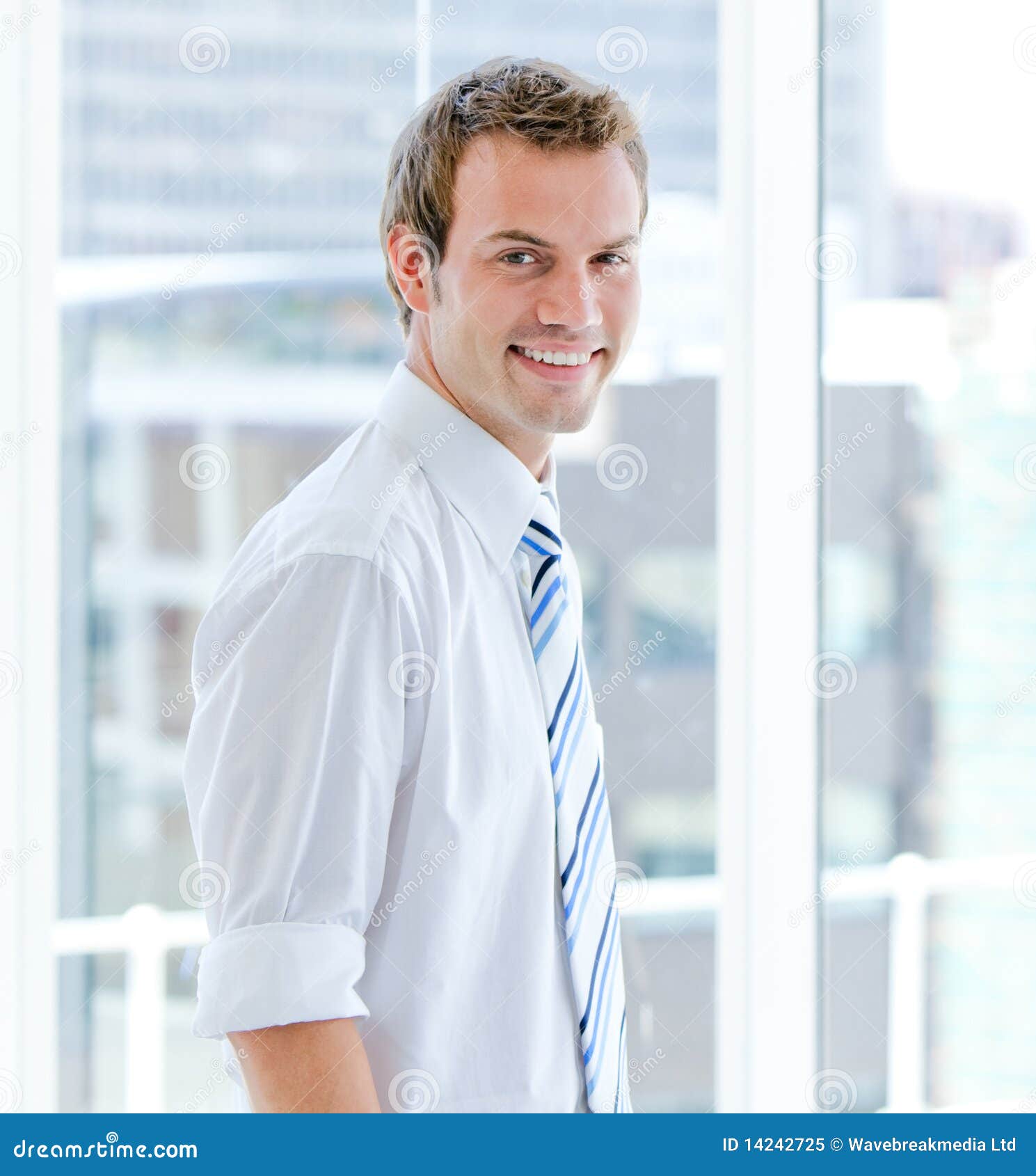 Portrait of an Attractive Businessman Standing Stock Image - Image of ...
