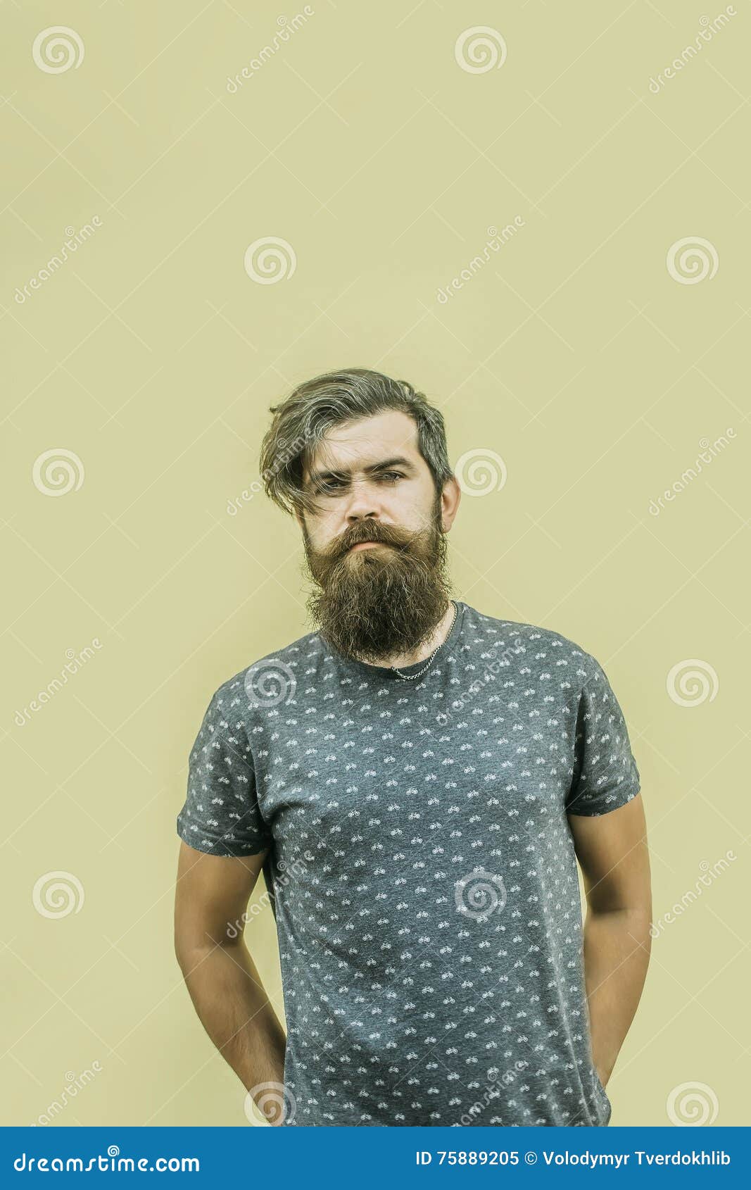 Portrait of Attractive Man with Long Beard Stock Image - Image of ...