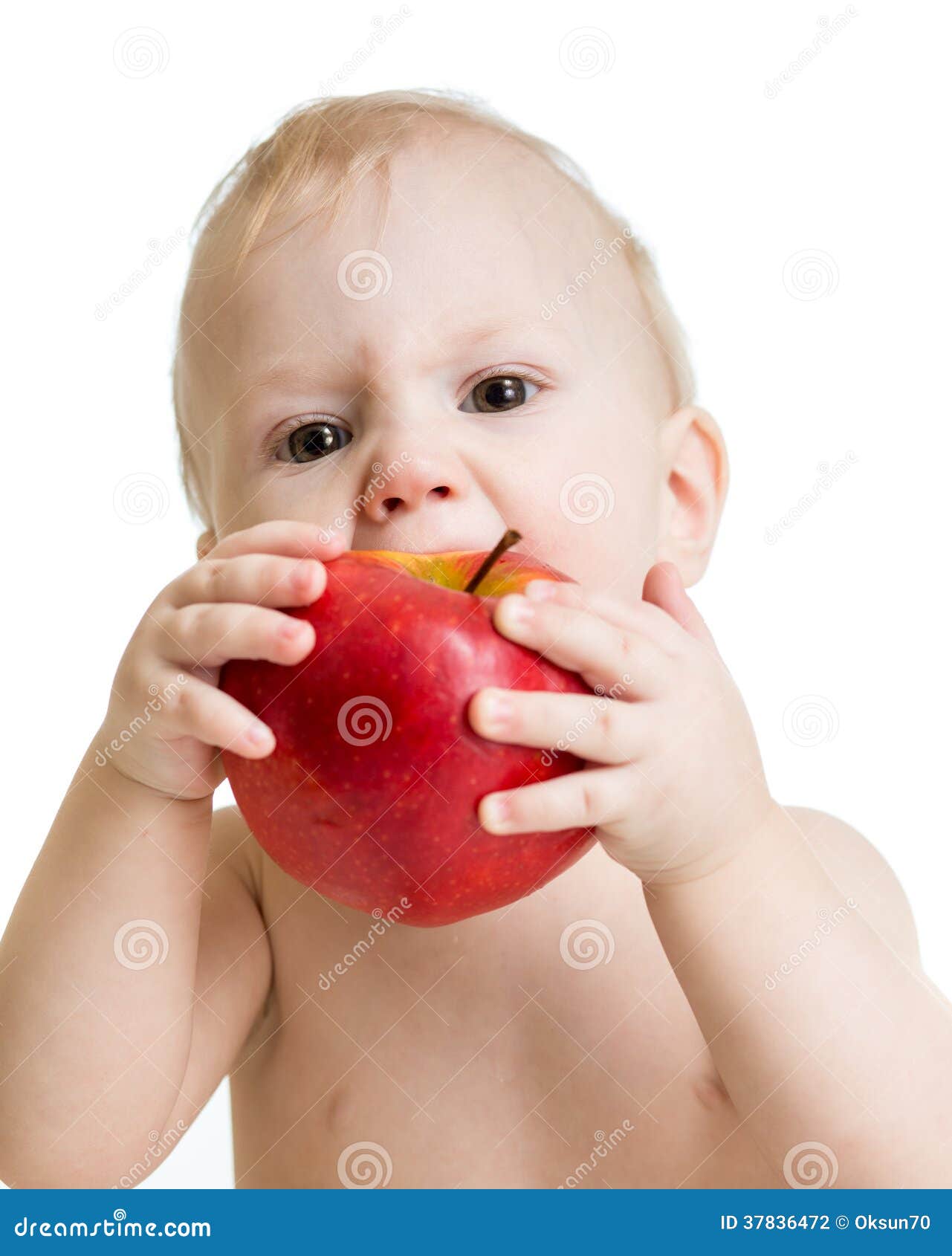 Portrait of Baby Boy Eating Apple Stock Photo - Image of closeup ...