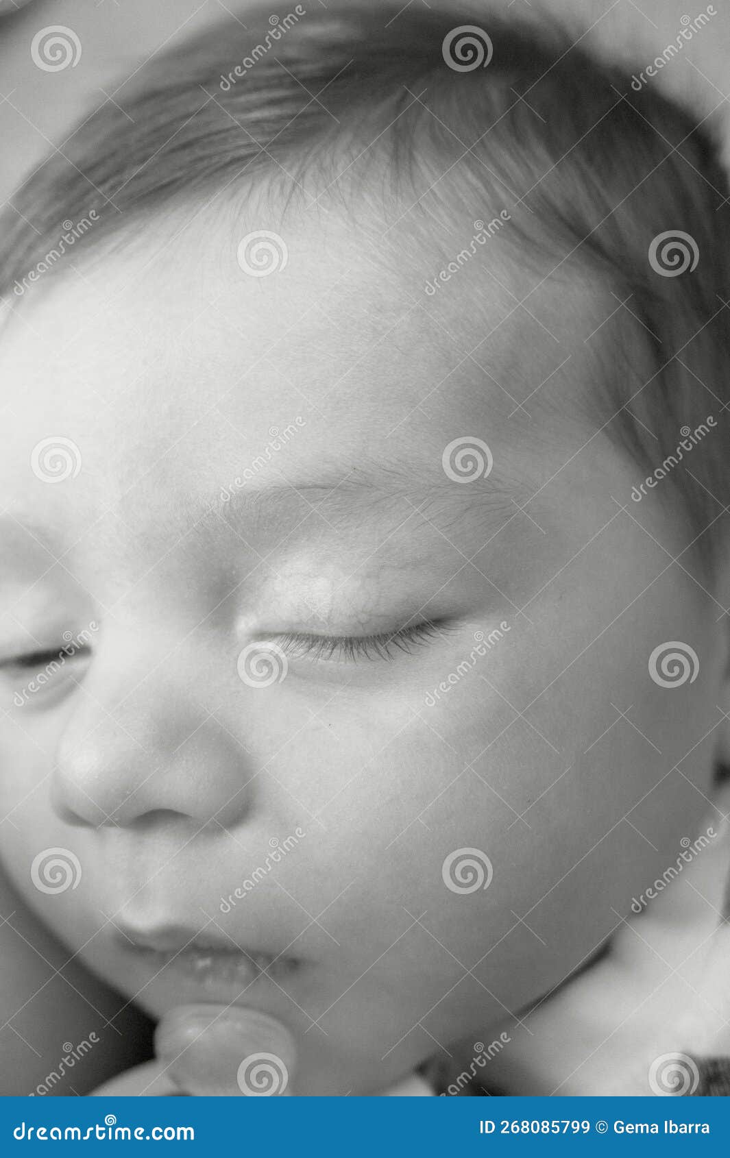 Two Month Old Baby Portrait Stock Image - Image of sleep, soft: 268085799 Two Month Old Baby Portrait Stock Image - Image of sleep, soft: 268085799