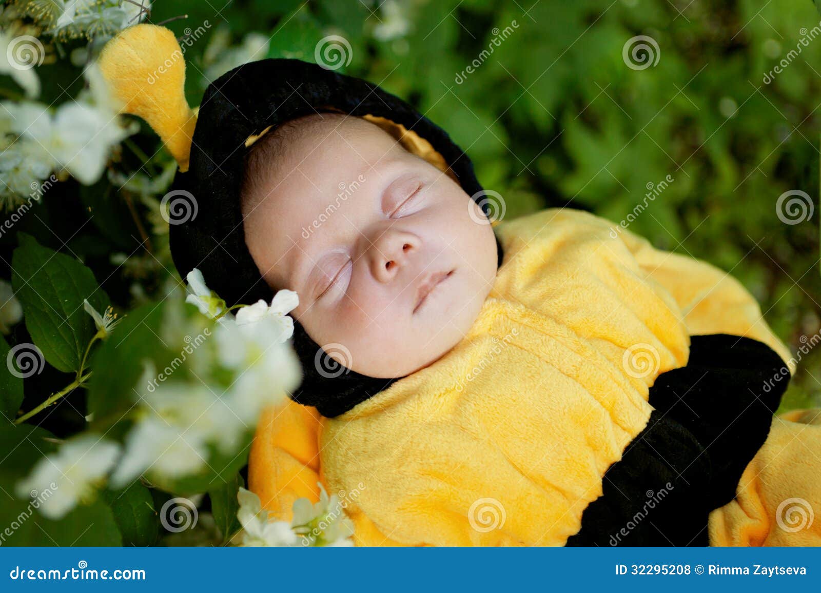 Portrait of Baby Dressed As Bee Stock Photo - Image of pretty ...