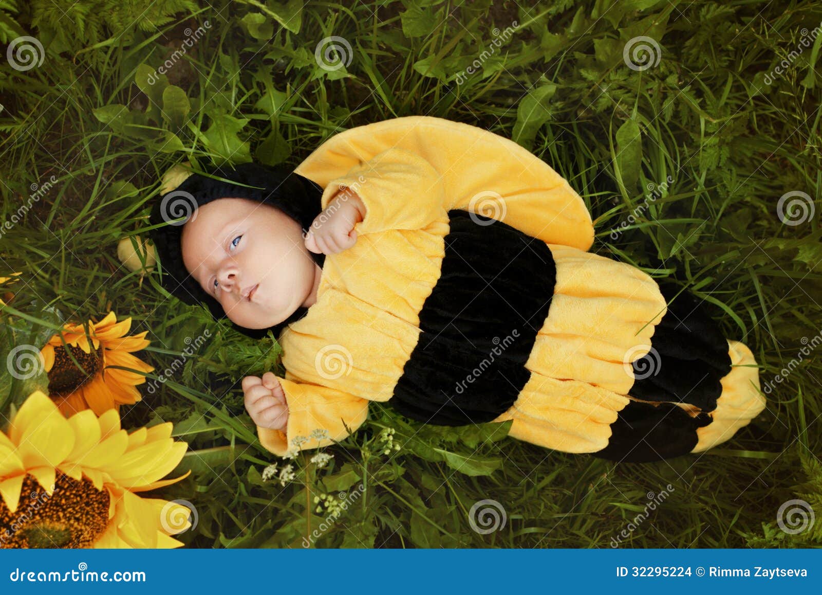 Portrait of Baby Dressed As Bee Stock Photo - Image of happiness, care ...