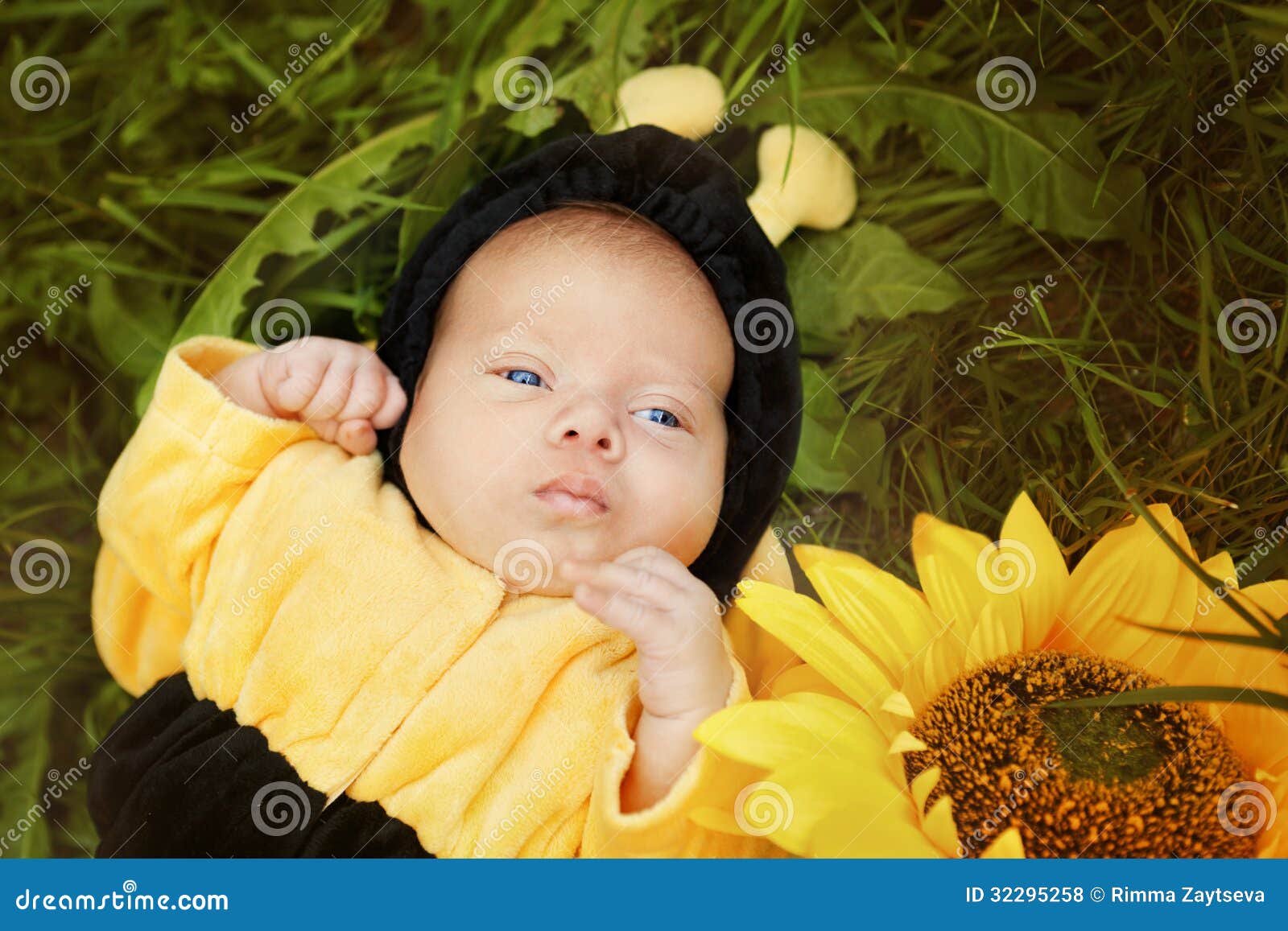 Portrait of Baby Dressed As Bee Stock Photo - Image of happy, garden ...