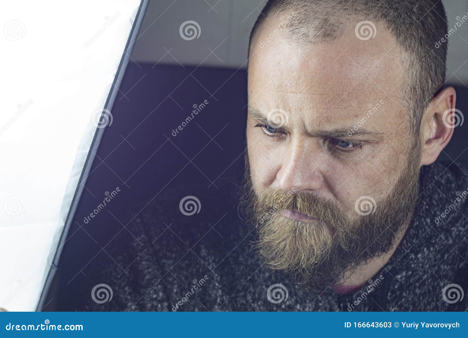 Portrait Of A Bald Bearded Man With Beautiful Blue Eyes With A Focused