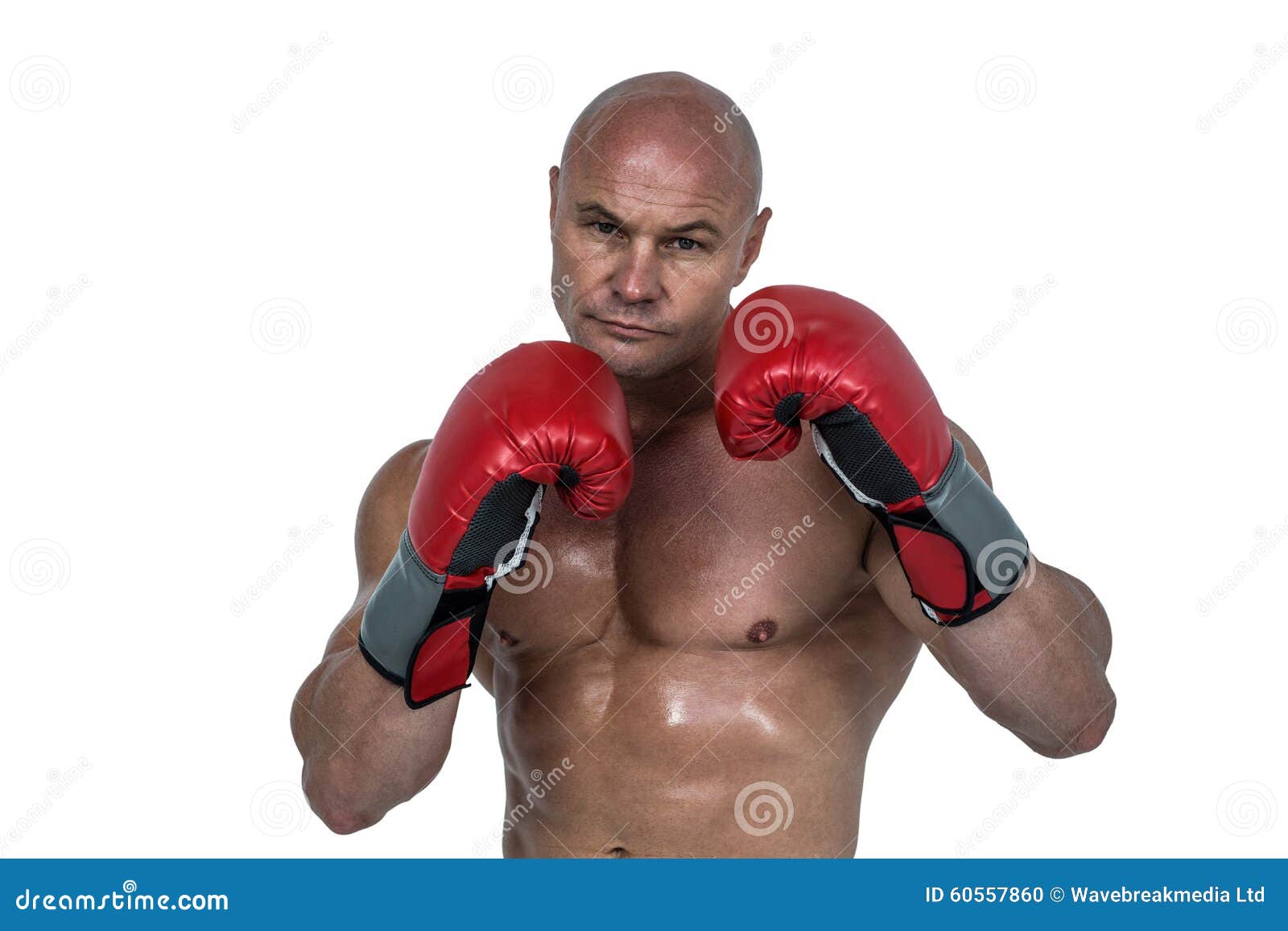 Portrait Of Bald Boxer In Red Gloves Stock Photo - Image of body ...